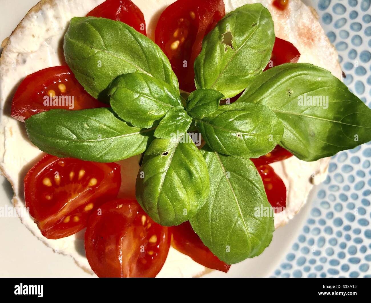 Basil lunch hi-res stock photography and images - Alamy