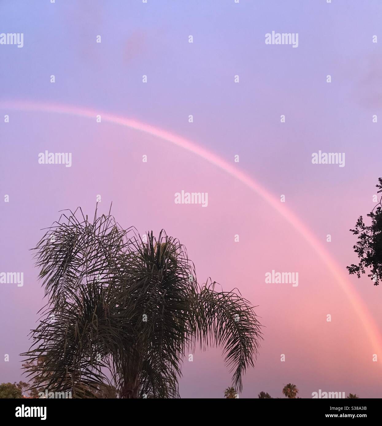 Rainbow with palm trees hi-res stock photography and images - Alamy