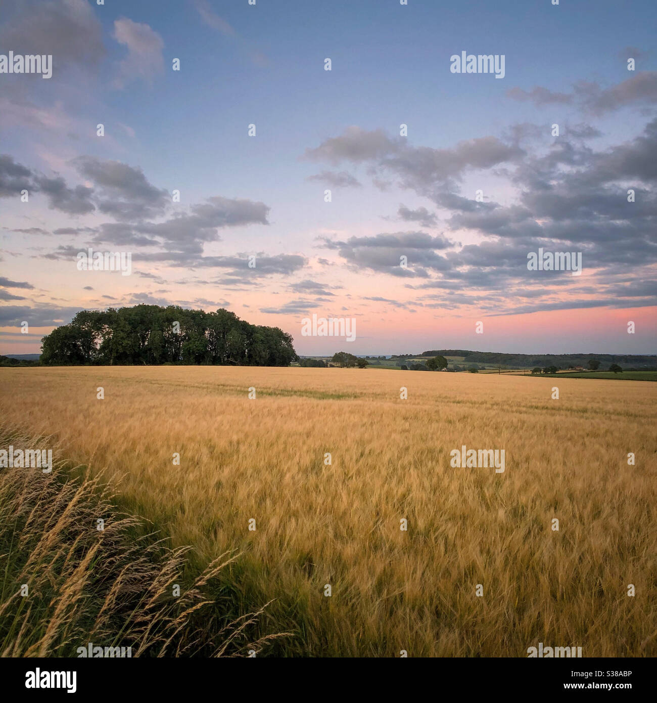 Farming sunset hi-res stock photography and images - Alamy