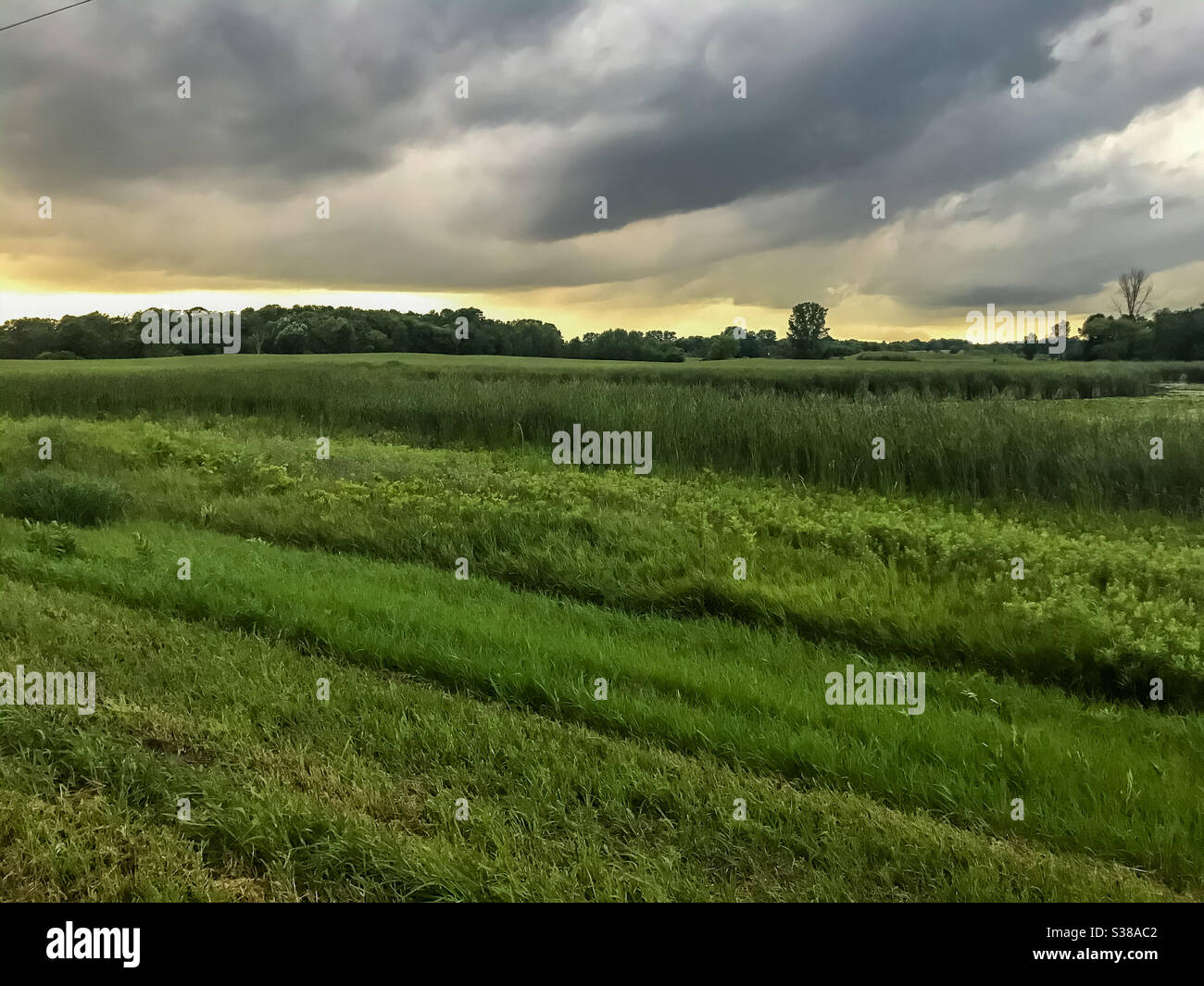 Grass Grassy Plain High Resolution Stock Photography and Images - Alamy