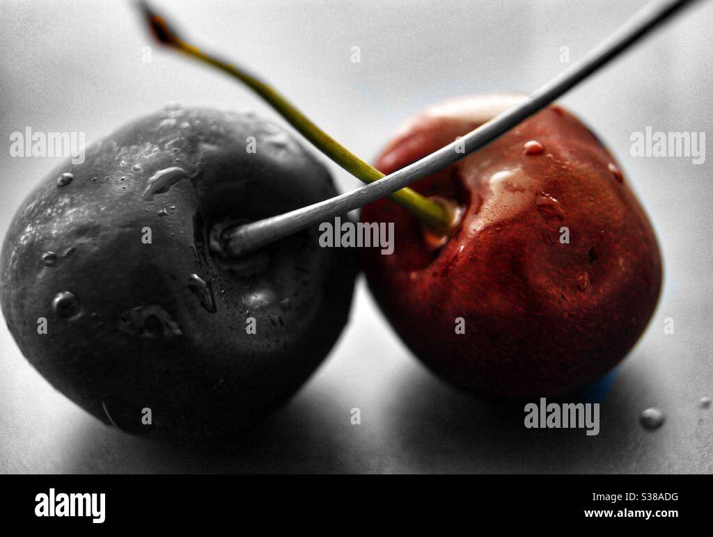 Macro Photography - Fruit Stock Photo - Alamy