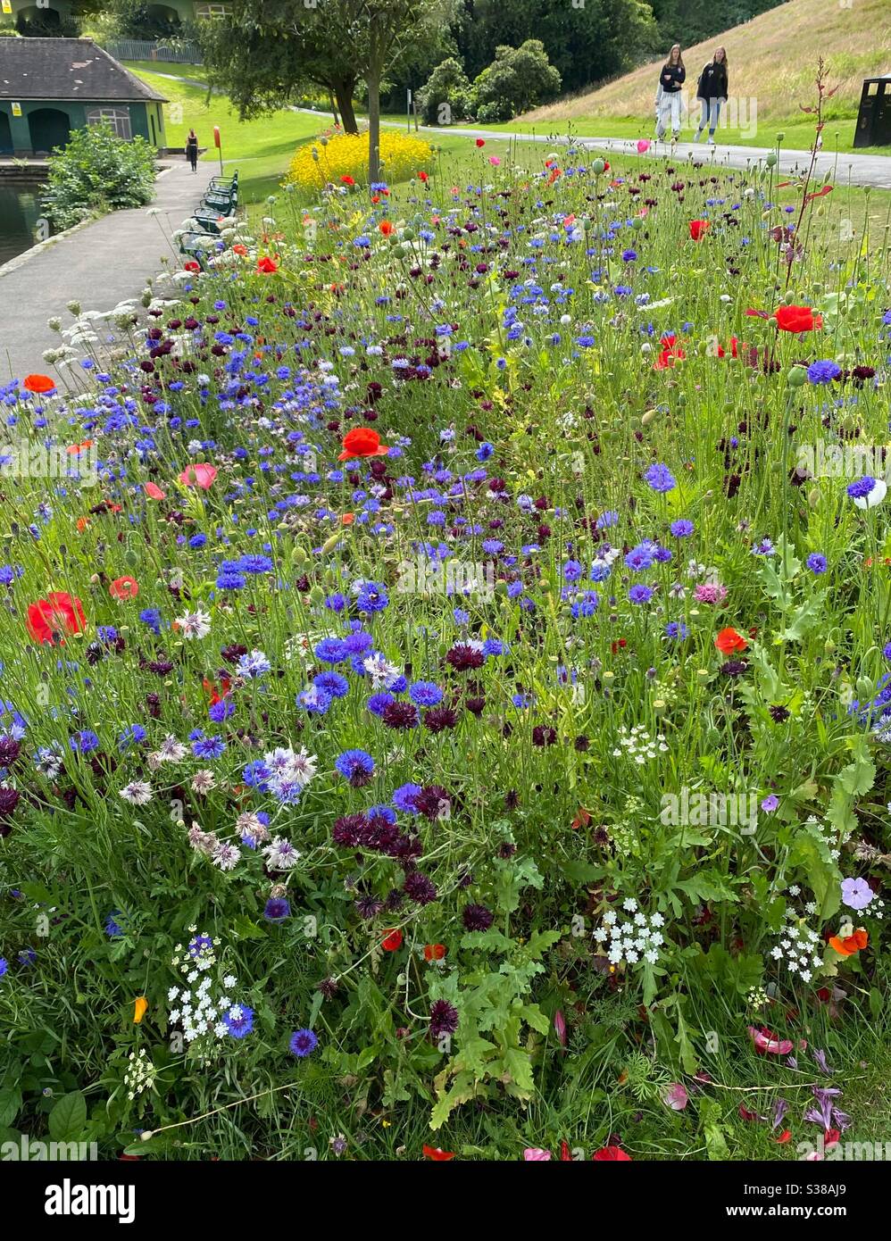 Crookes valley park hi-res stock photography and images - Alamy