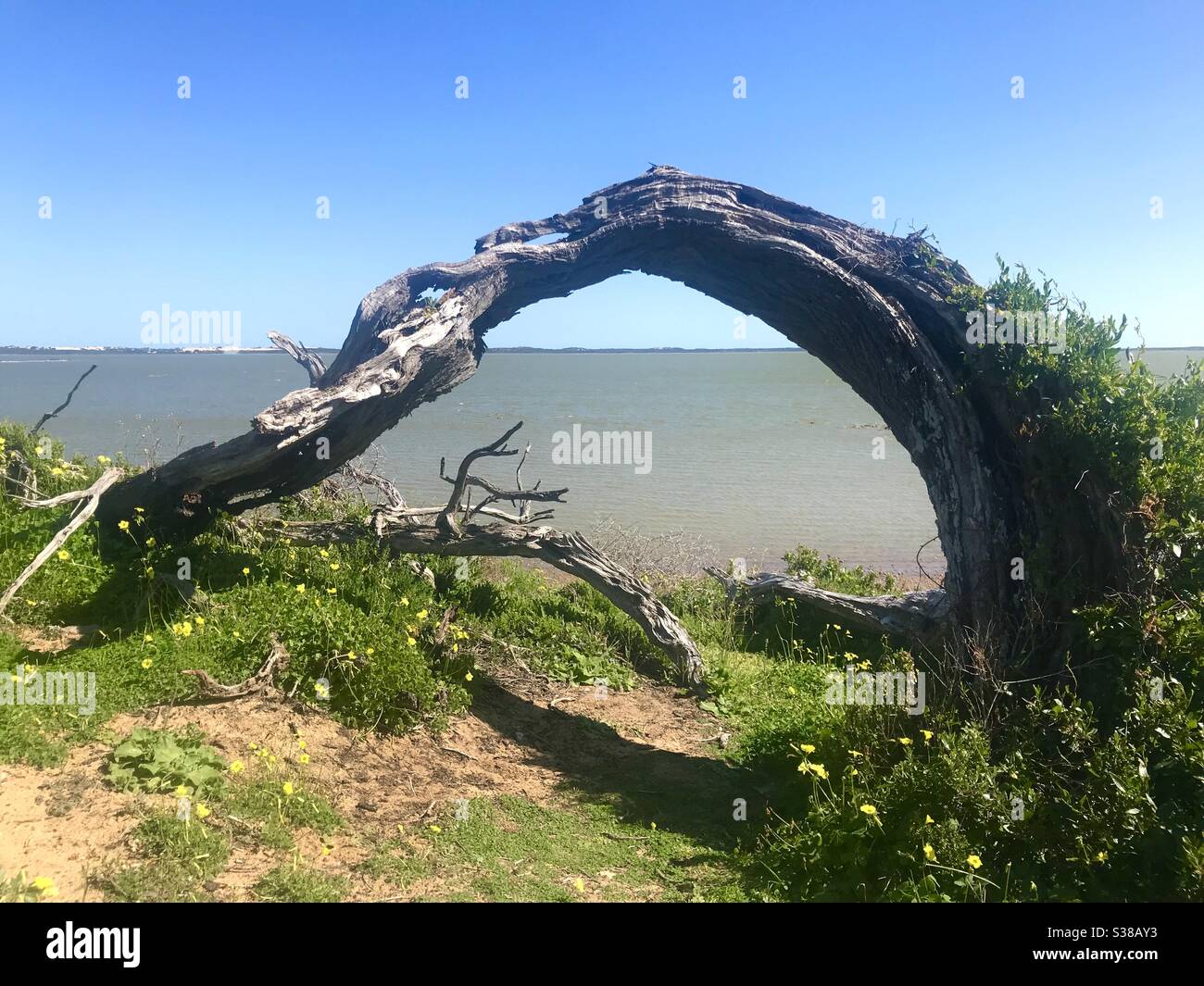 Pelican observatory hi-res stock photography and images - Alamy