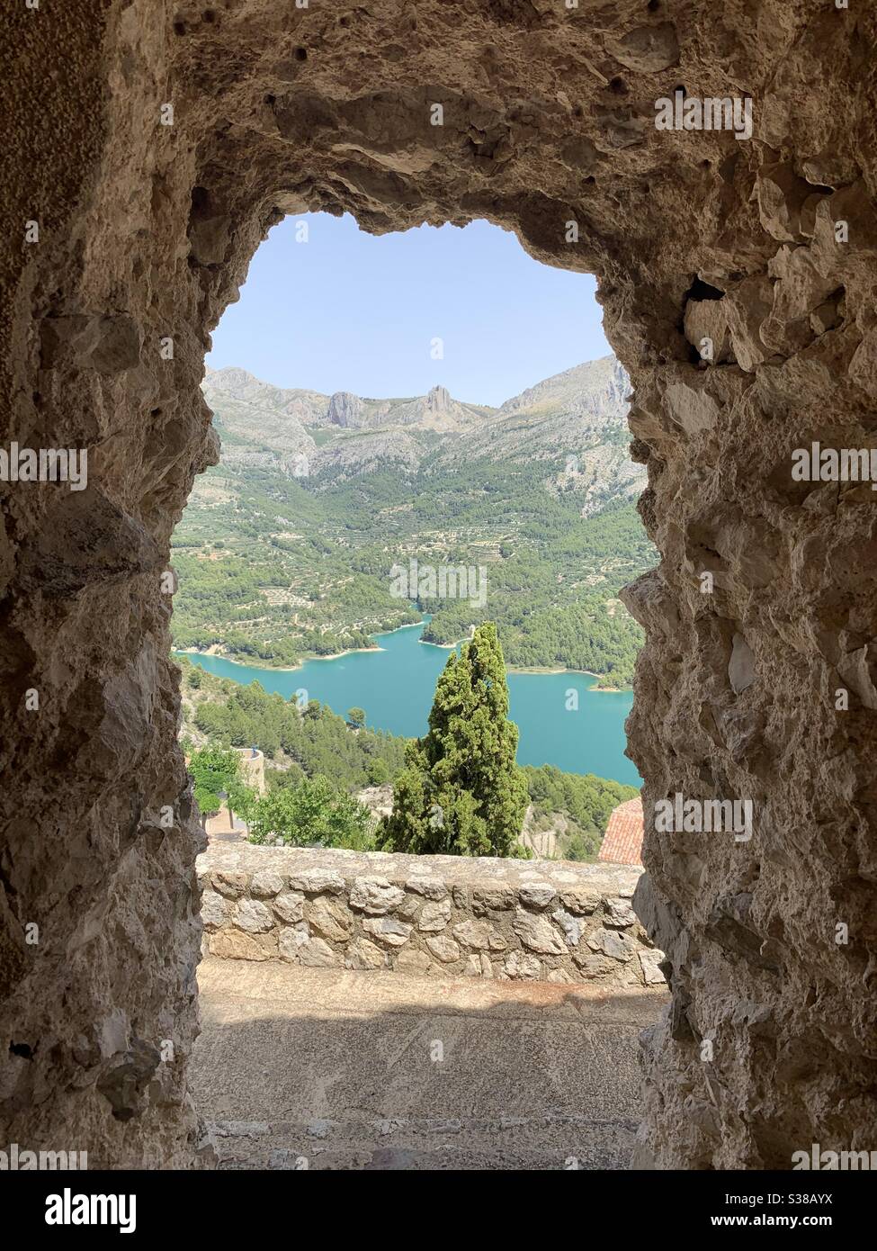 Arch of trees hi-res stock photography and images - Alamy