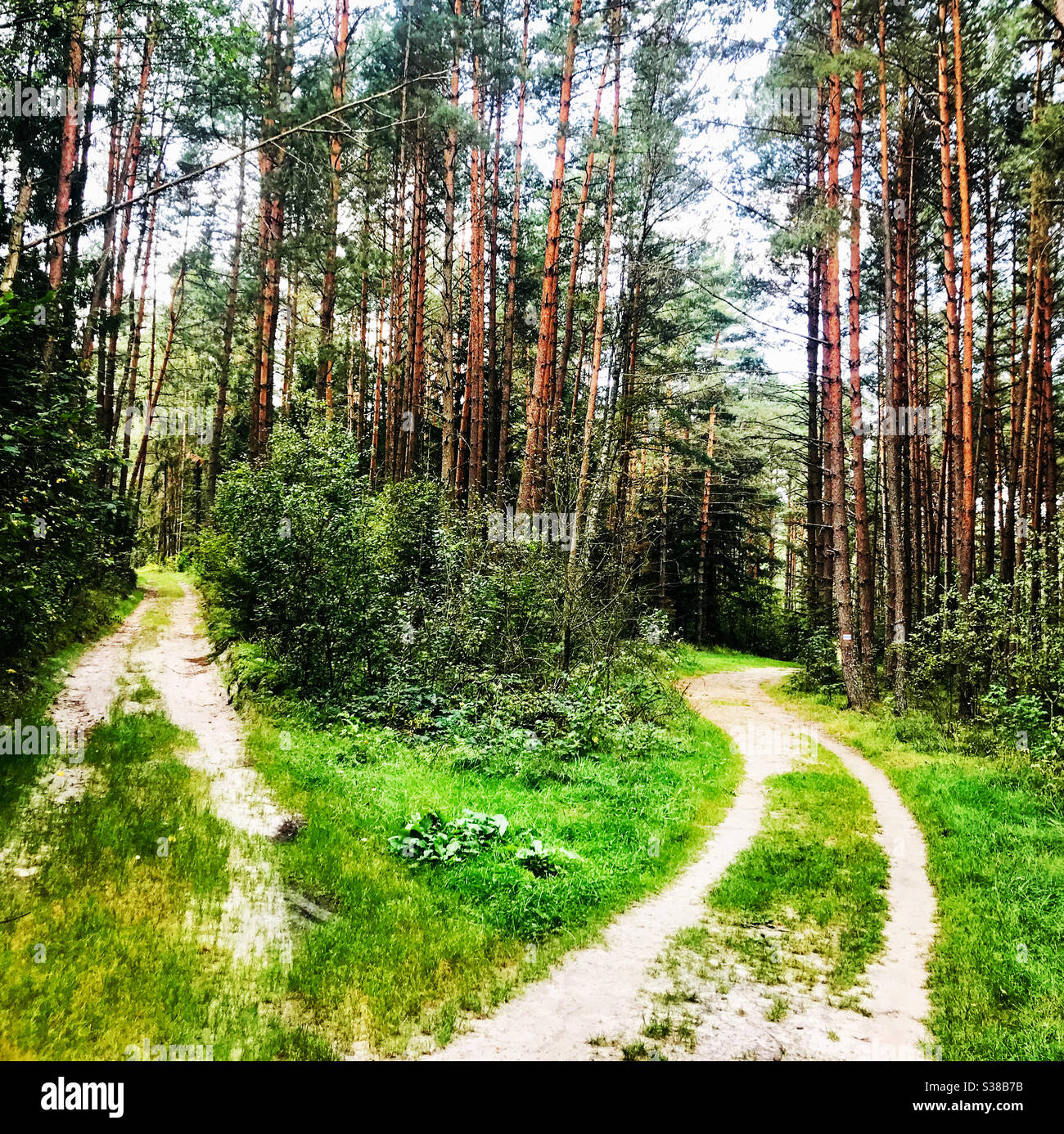 Beautiful Paths High Resolution Stock Photography and Images - Alamy
