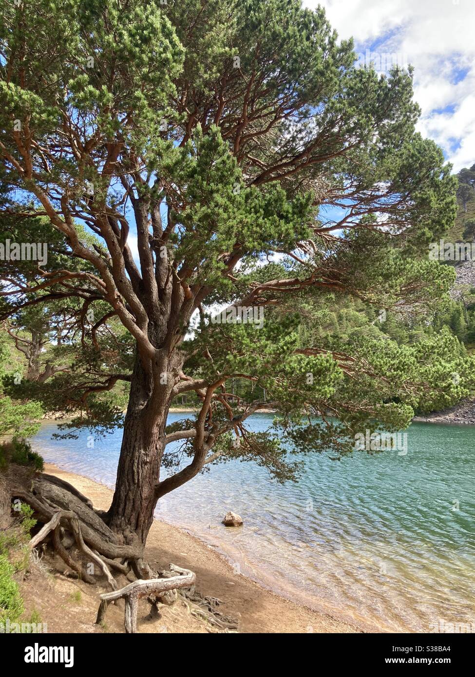 The green loch hi-res stock photography and images - Alamy