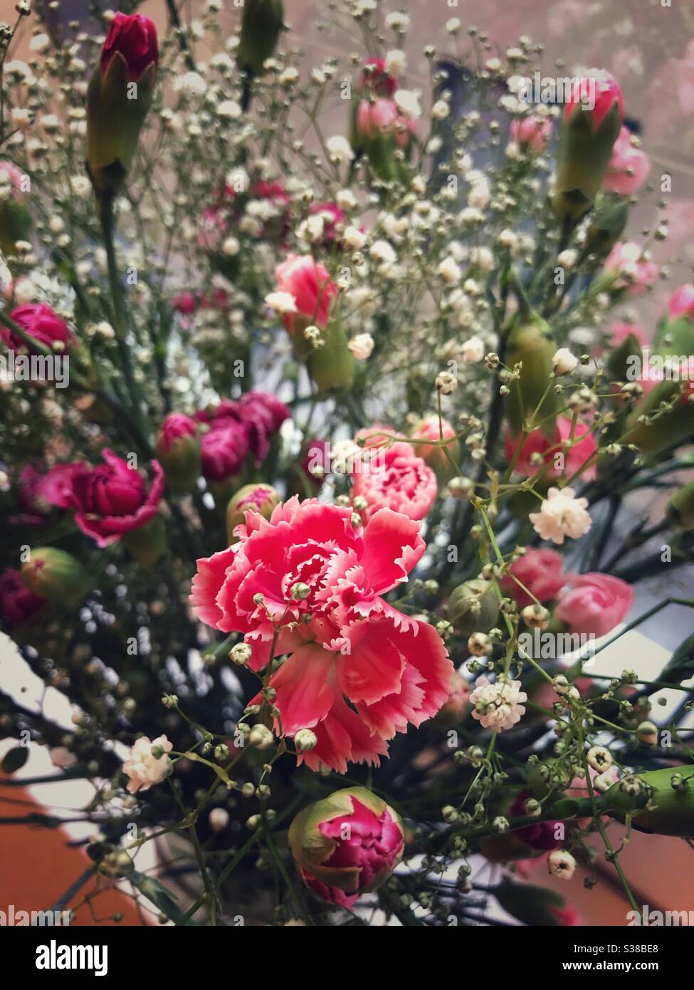 Pink carnations bouquet hi-res stock photography and images - Alamy