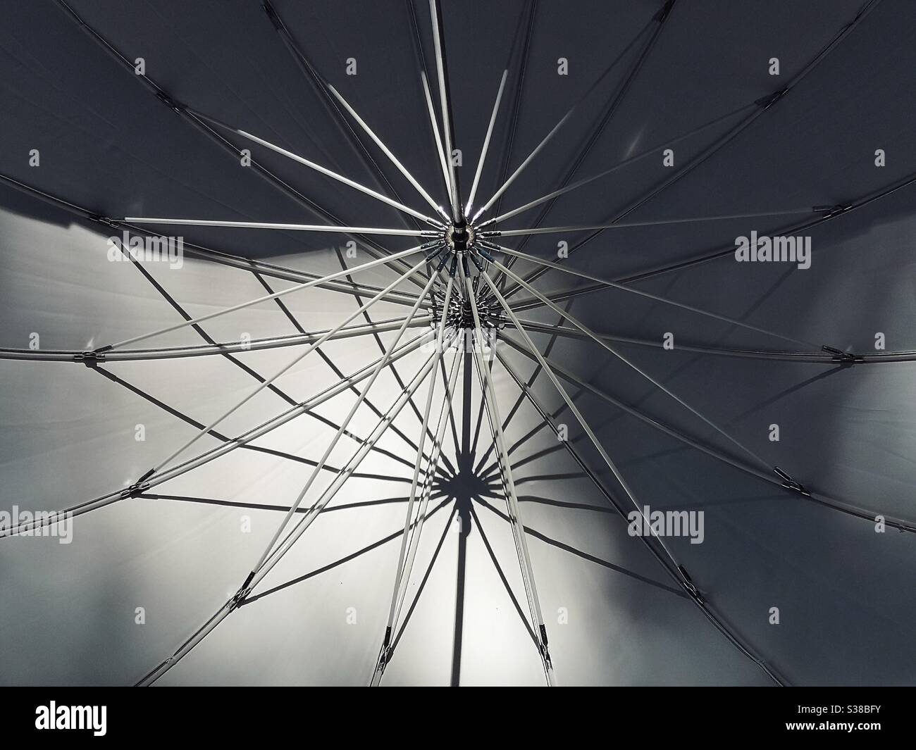 Interior framework of photographer's umbrella Stock Photo - Alamy