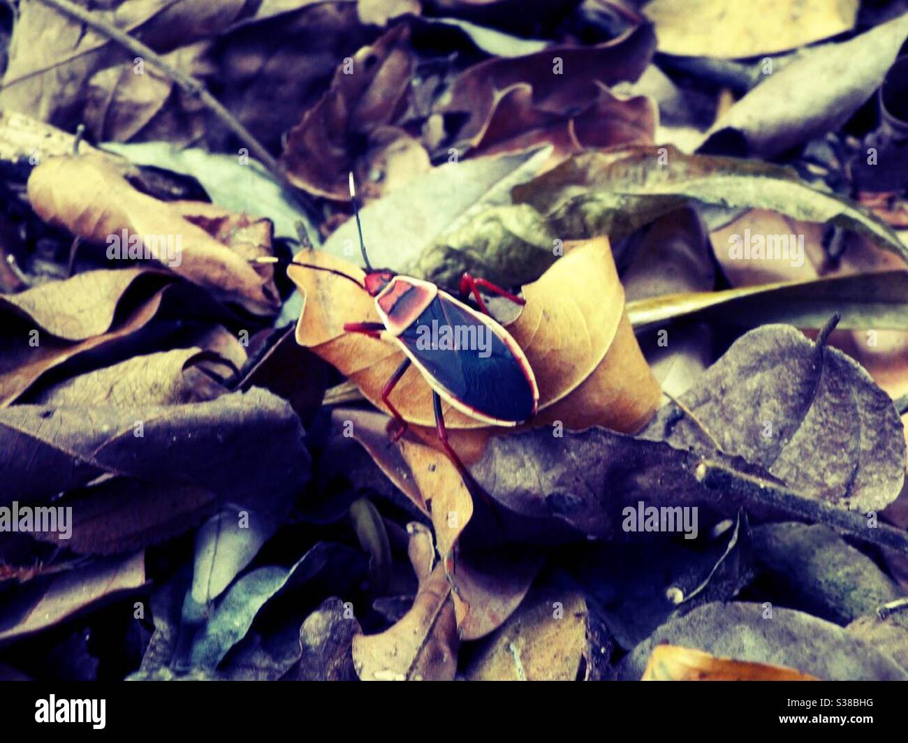 Risk life hi-res stock photography and images - Alamy