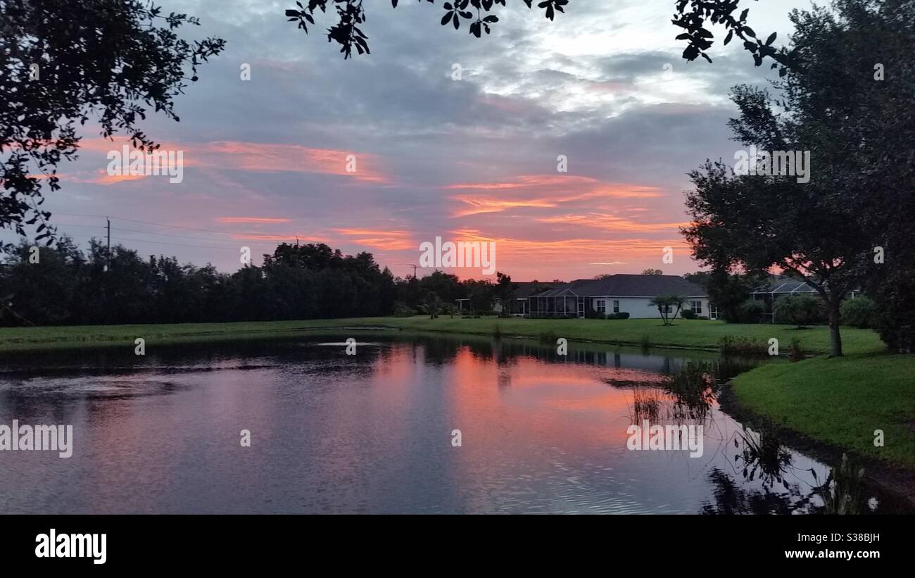 Sw florida hi-res stock photography and images - Alamy