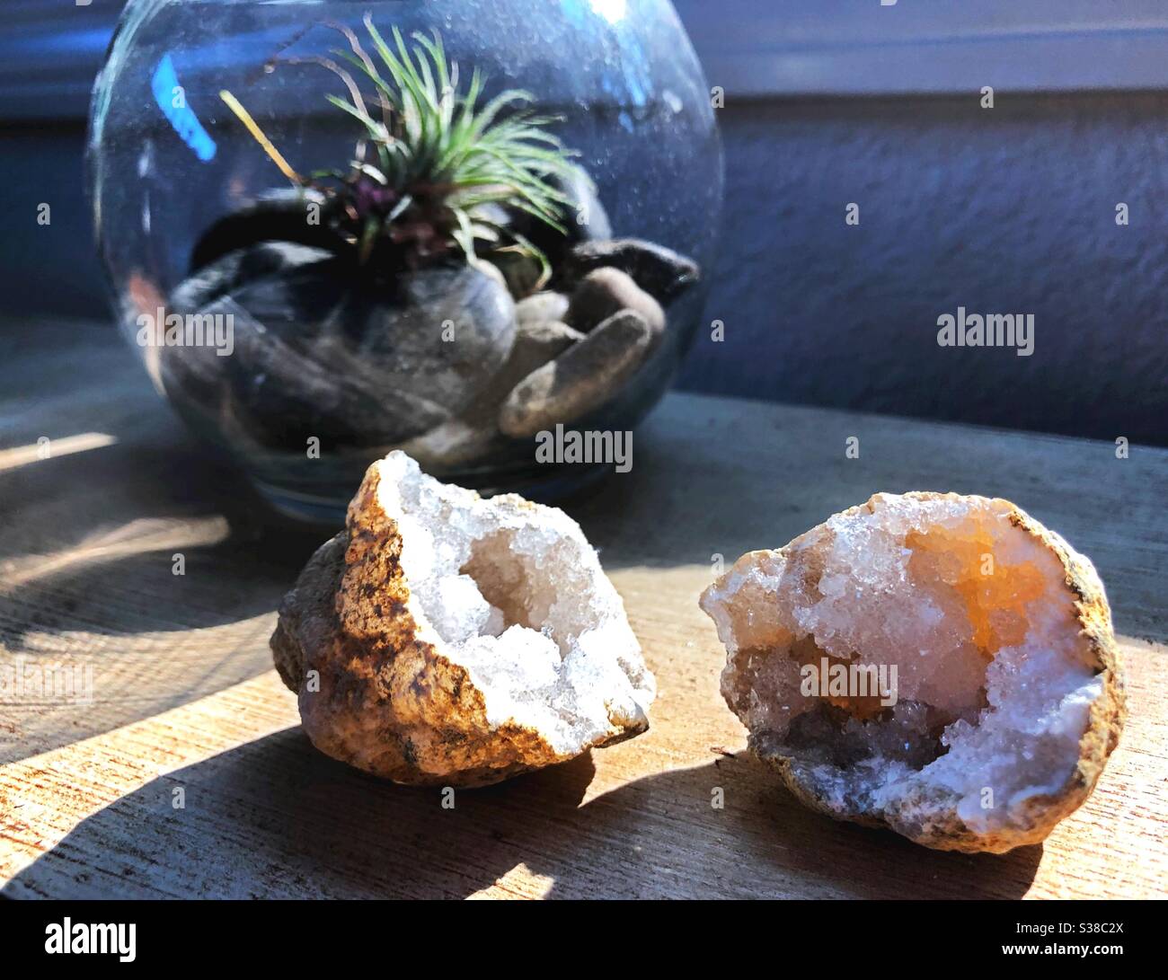A split open geode on a shelf next to a terrarium with an air plant ...