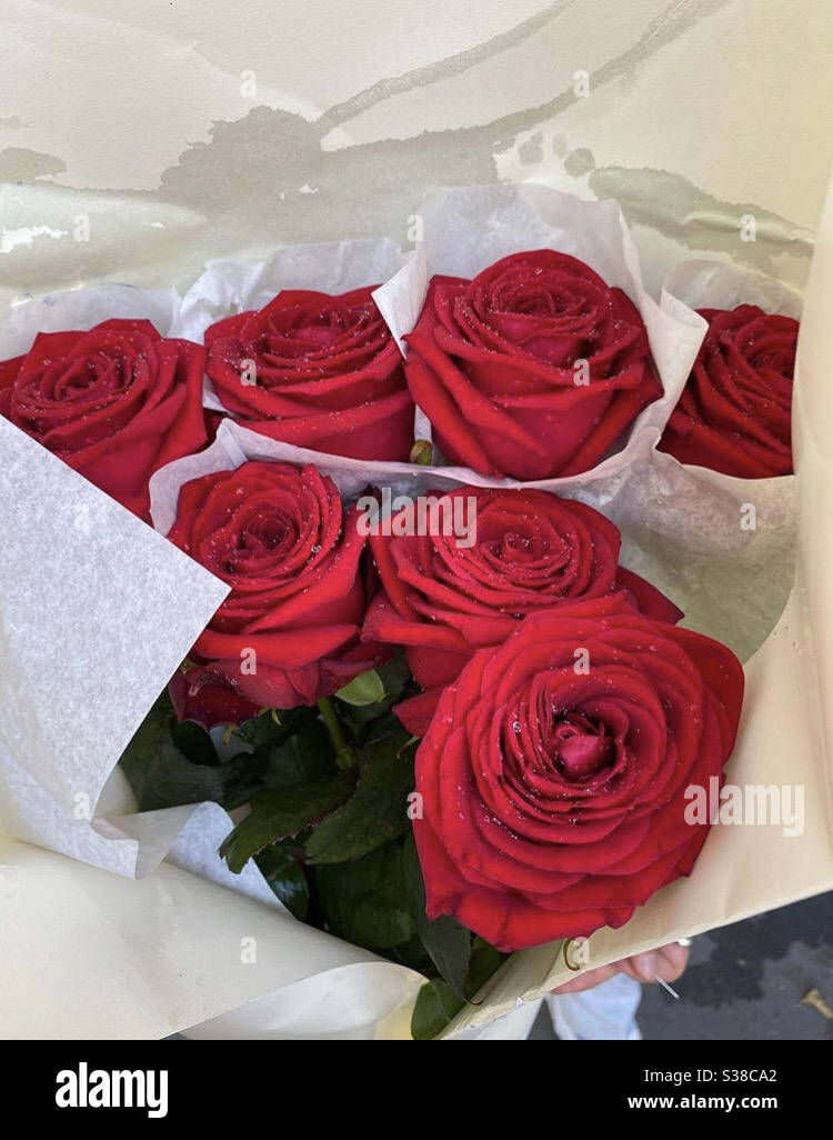 Belle fleur rose hi-res stock photography and images - Alamy