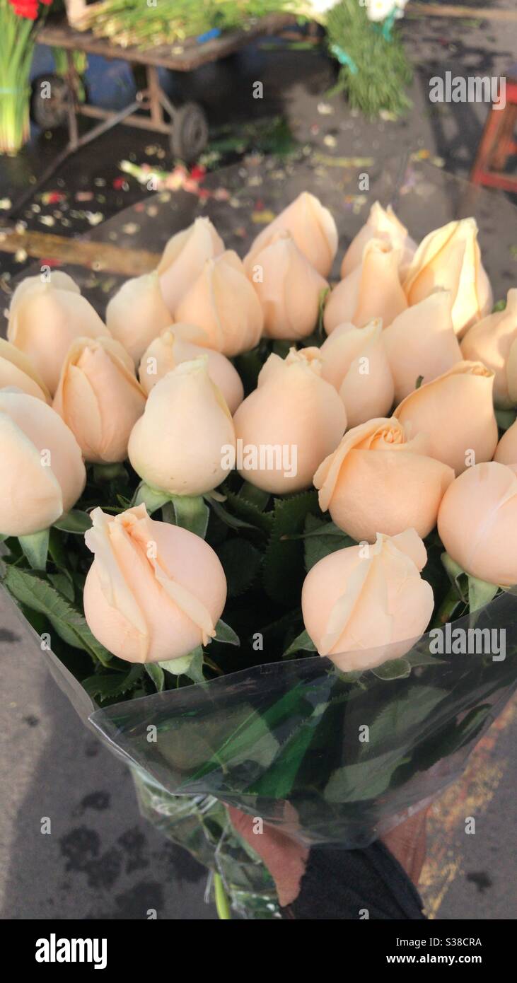 Flores rosas flores hi-res stock photography and images - Alamy