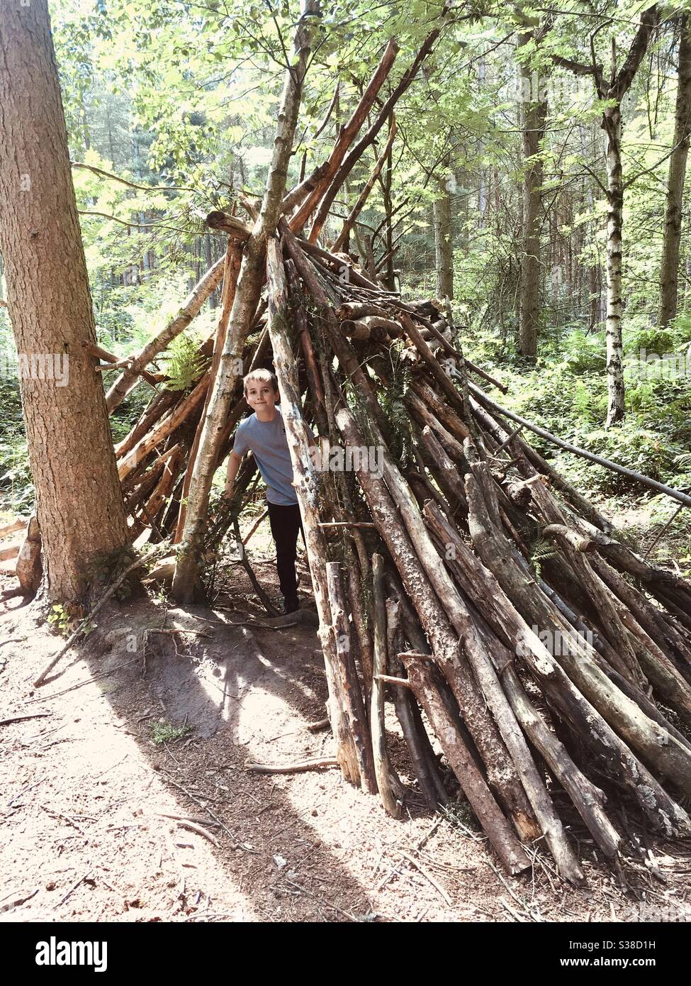 Den building forest hi-res stock photography and images - Alamy