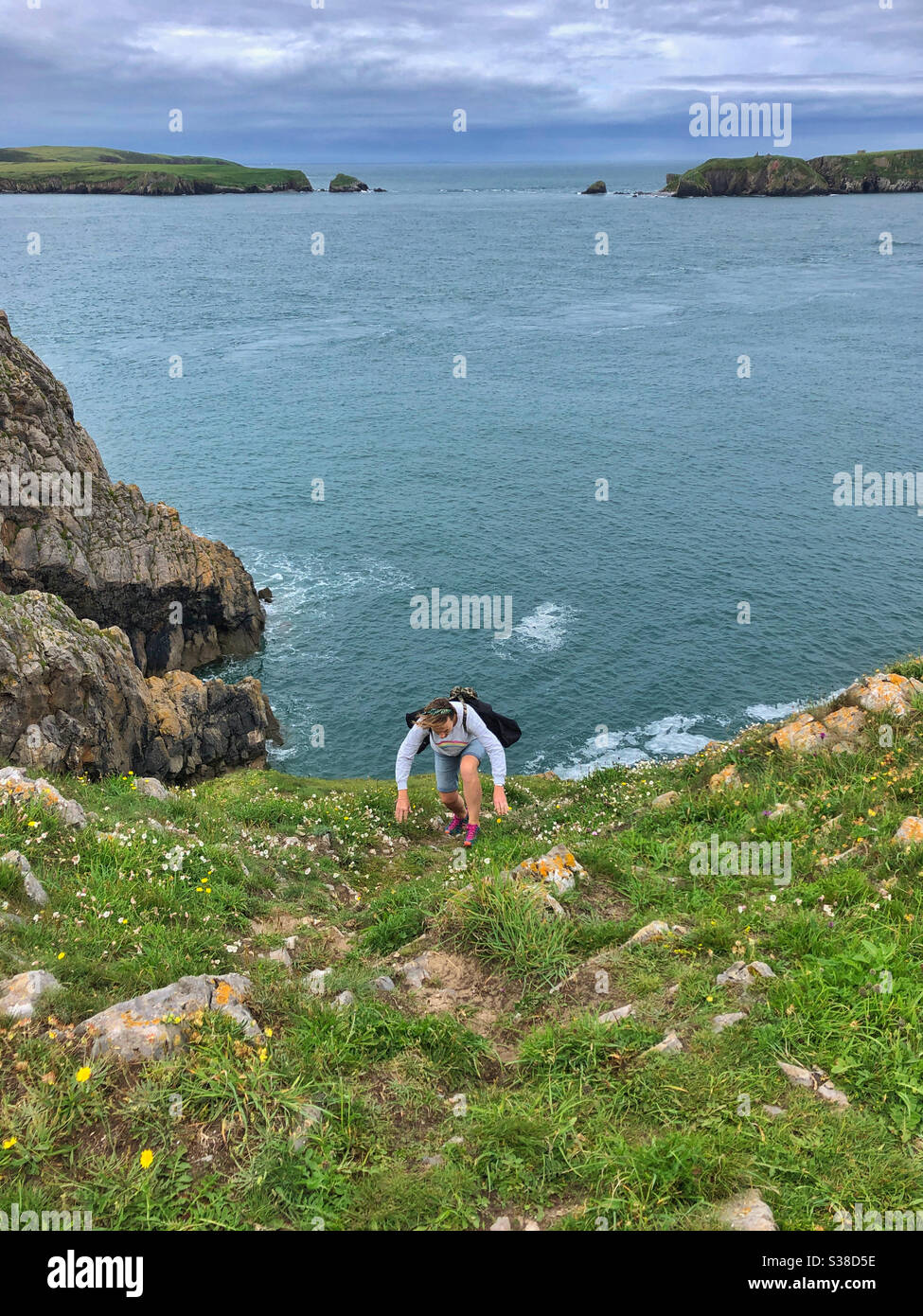 Coastal path in pembrokeshire smartphone stock photos and images - Alamy
