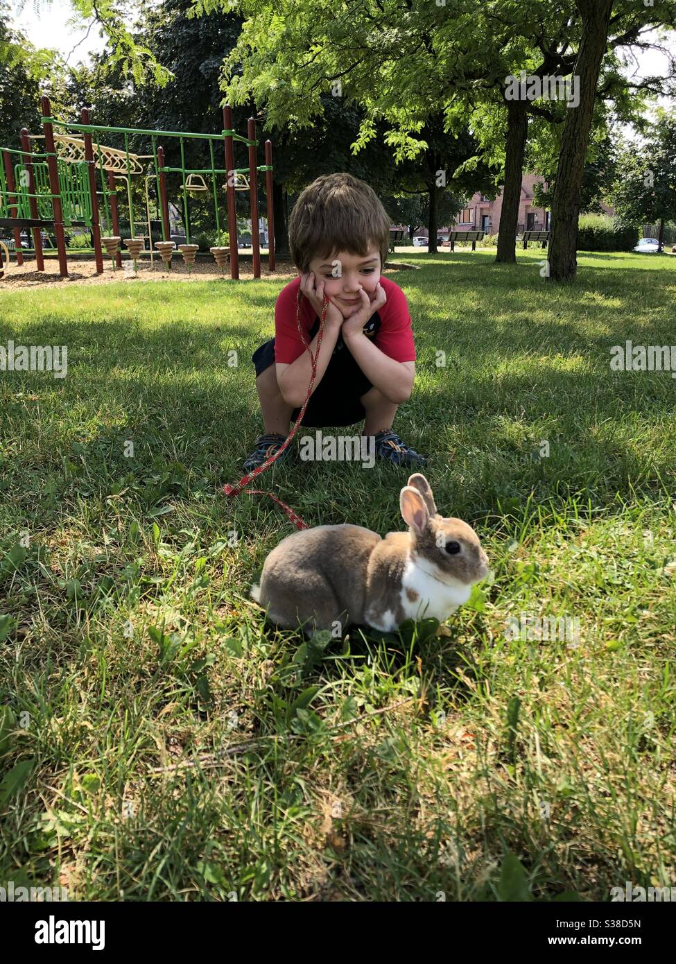 Boy rabbit hi-res stock photography and images - Alamy