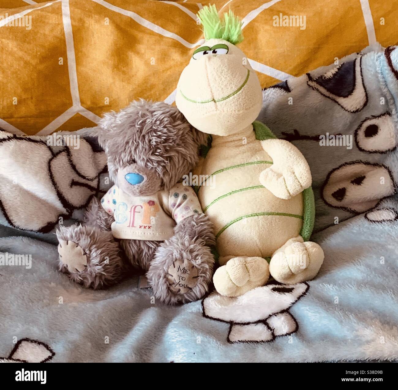 Teddy and turtle friends Stock Photo - Alamy