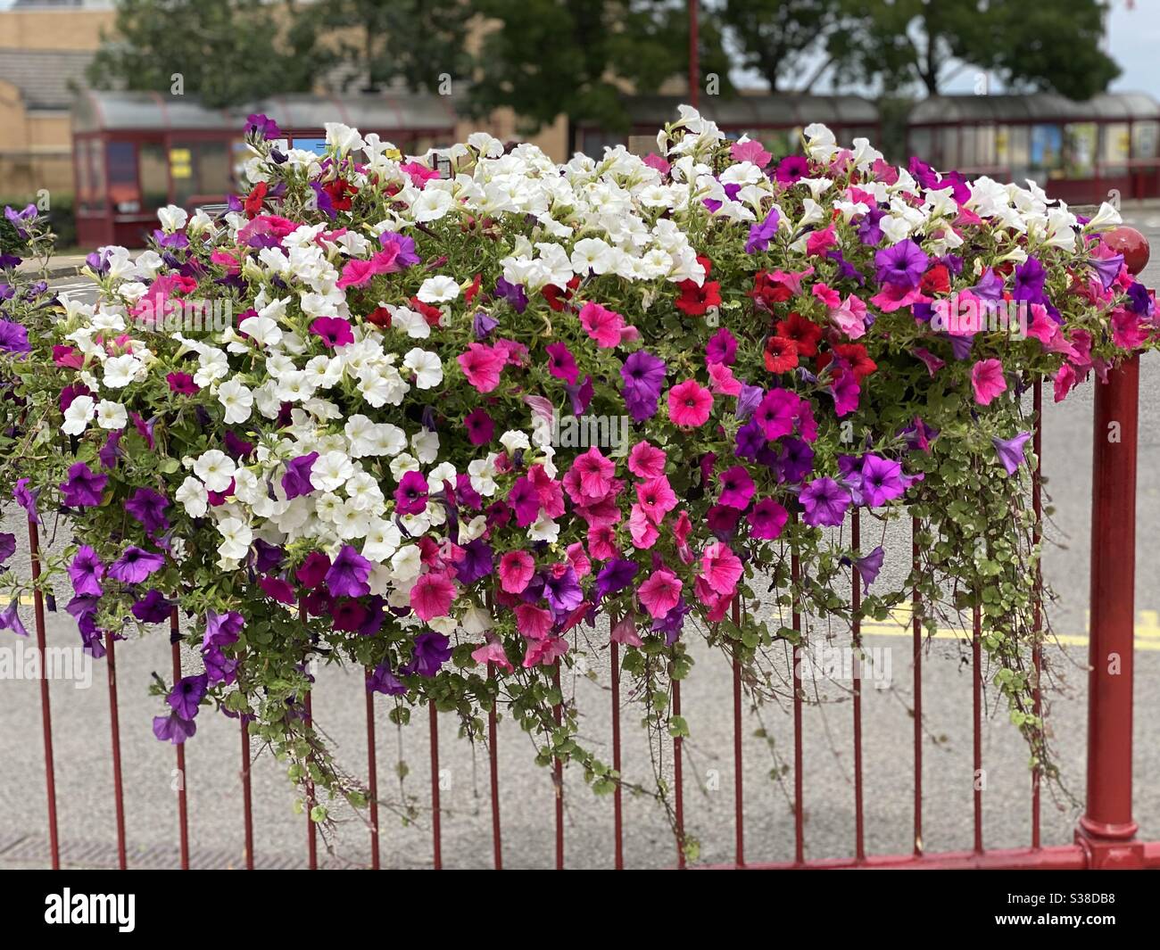 Daventry bus station Stock Photo - Alamy