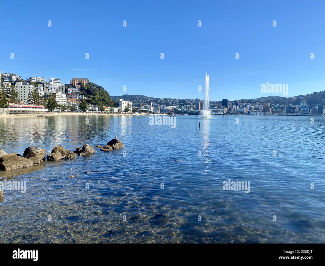 Fountain in Wellington harbour Stock Photo - Alamy
