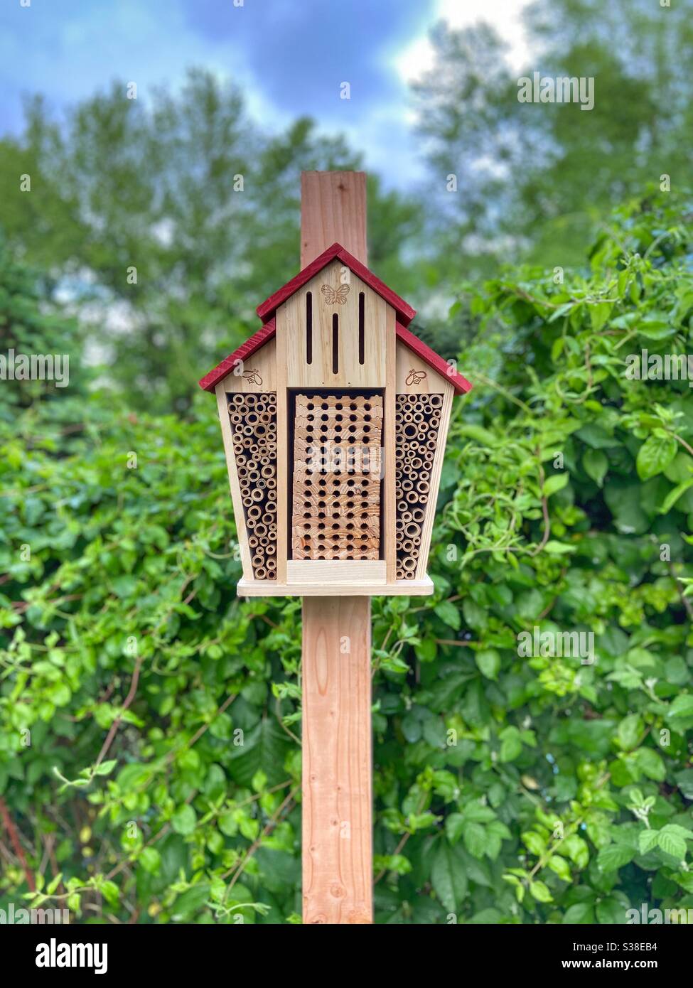 Butterfly roof house hi-res stock photography and images - Alamy