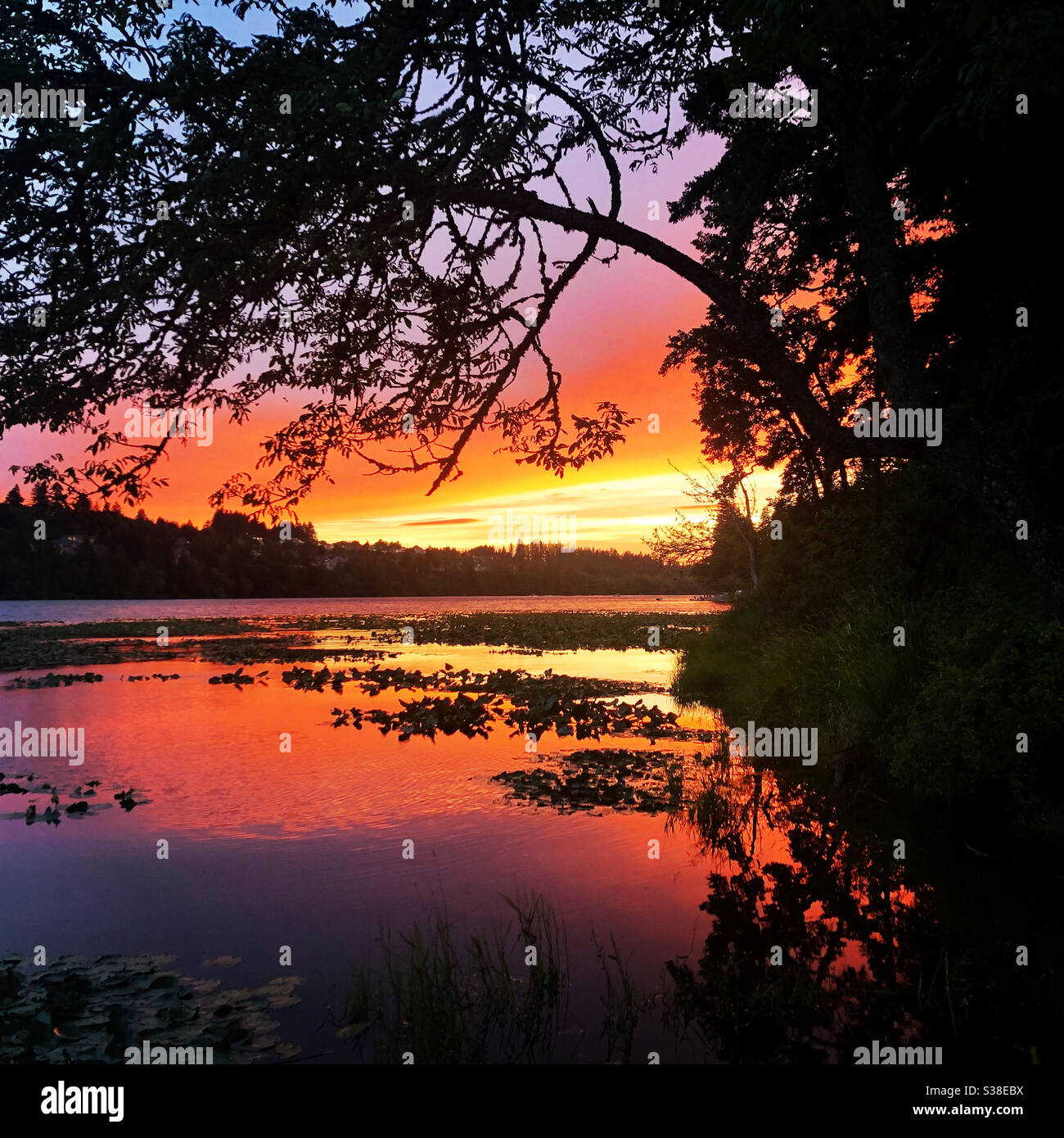 Pacific Northwest Sunset Stock Photo - Alamy