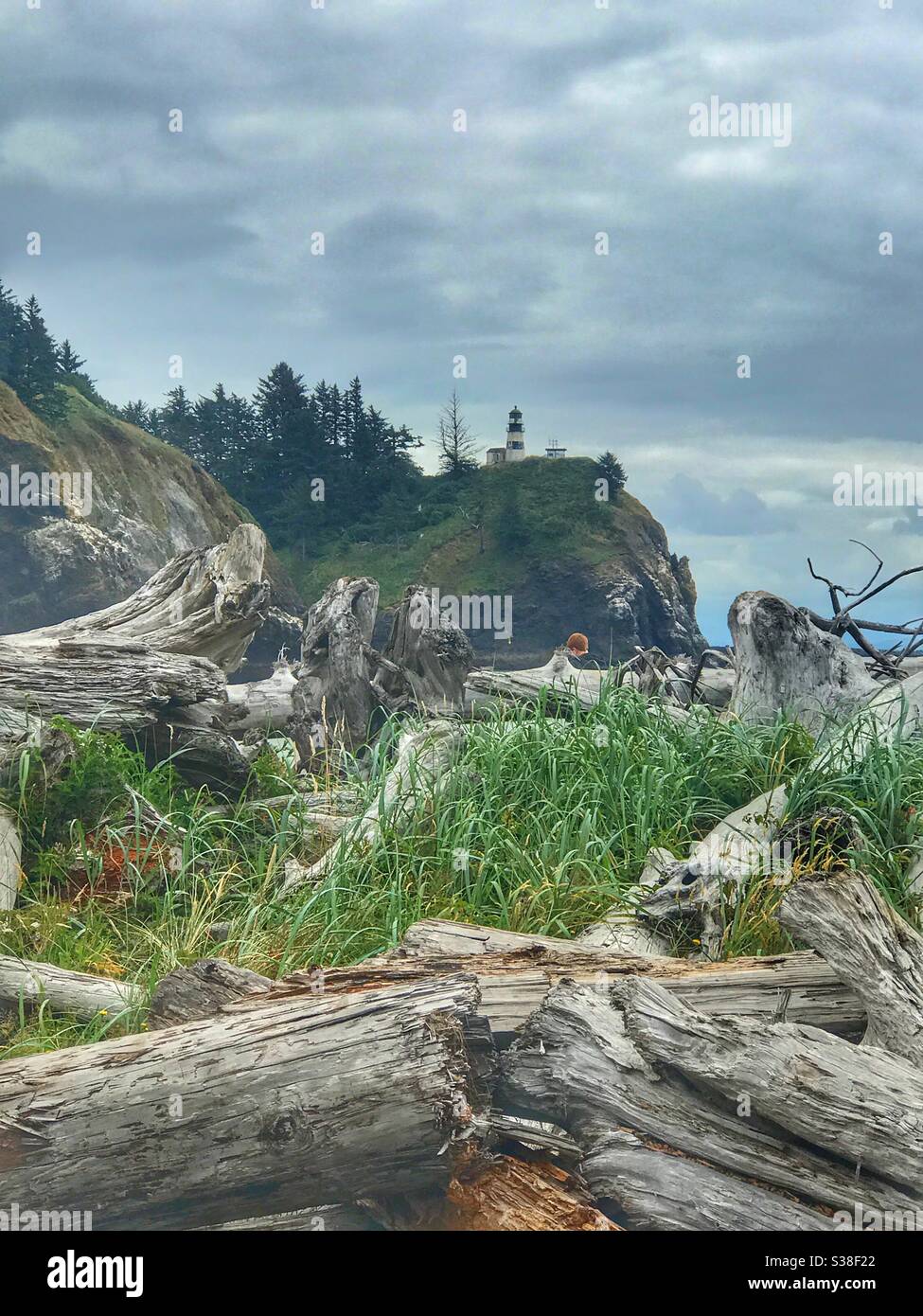 A day at the beach in Benson Beach, Washington USA Stock Photo - Alamy