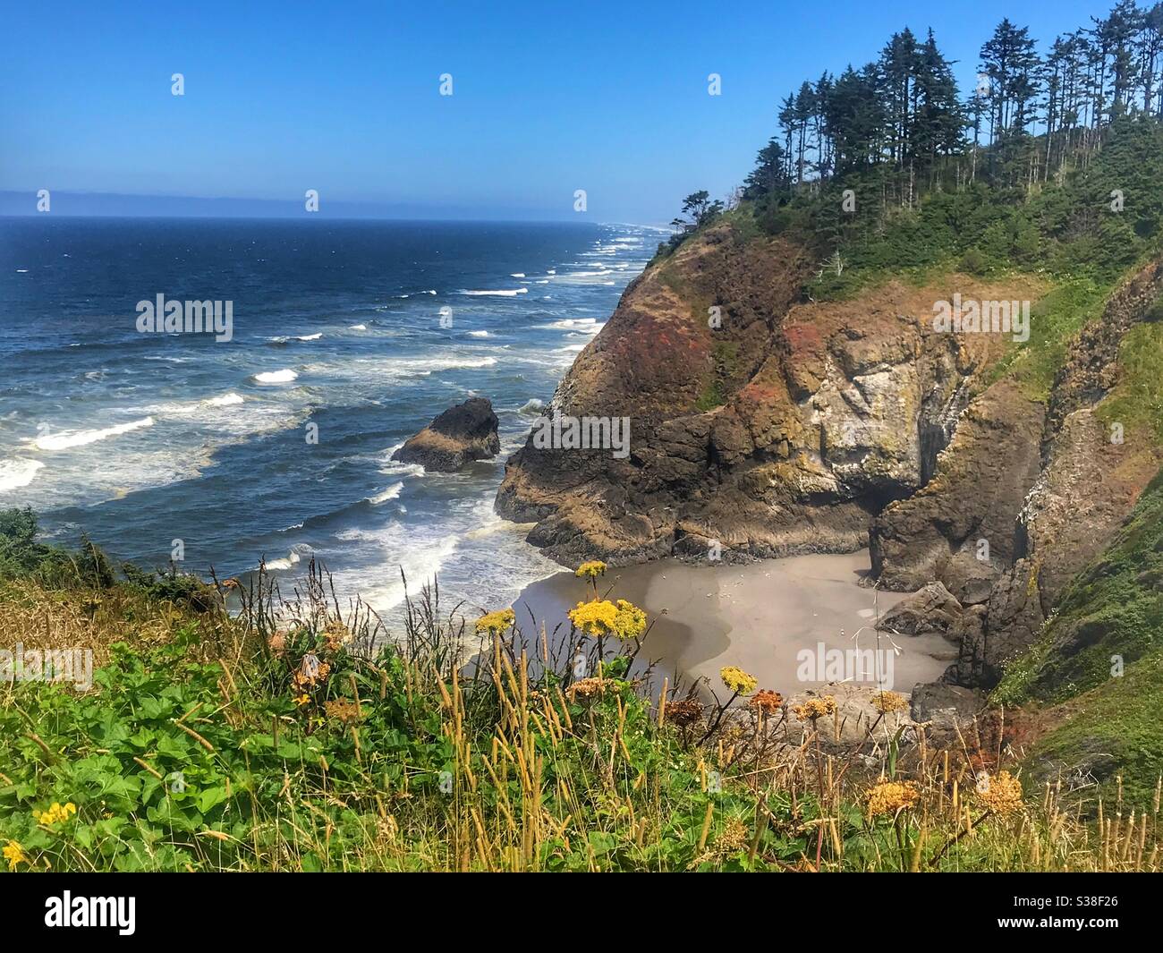 A day at the beach in Benson Beach, Washington USA Stock Photo - Alamy