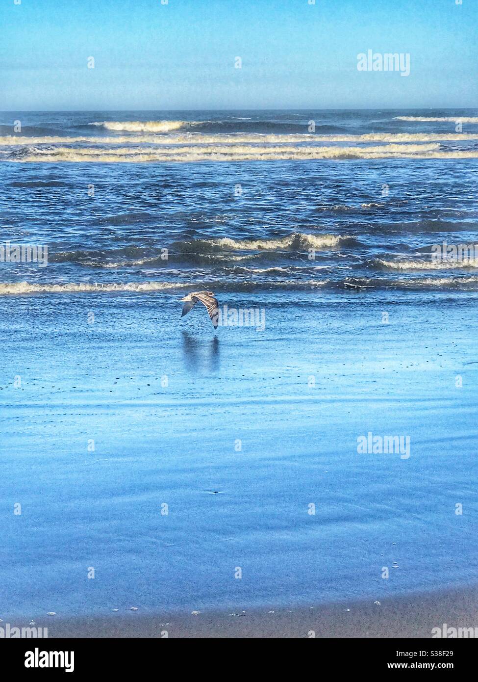 Benson beach hi-res stock photography and images - Alamy