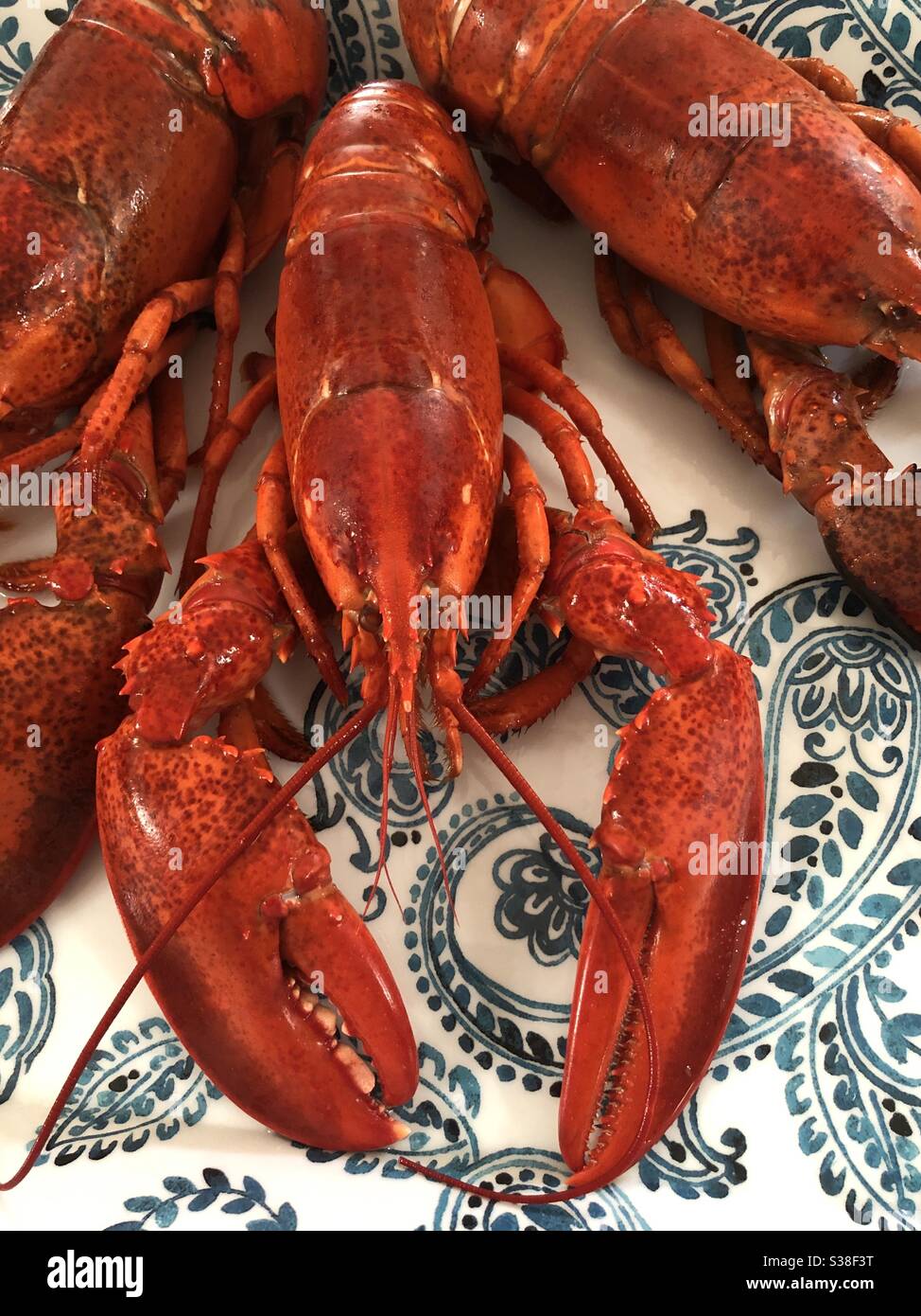 Red lobsters hi-res stock photography and images - Alamy