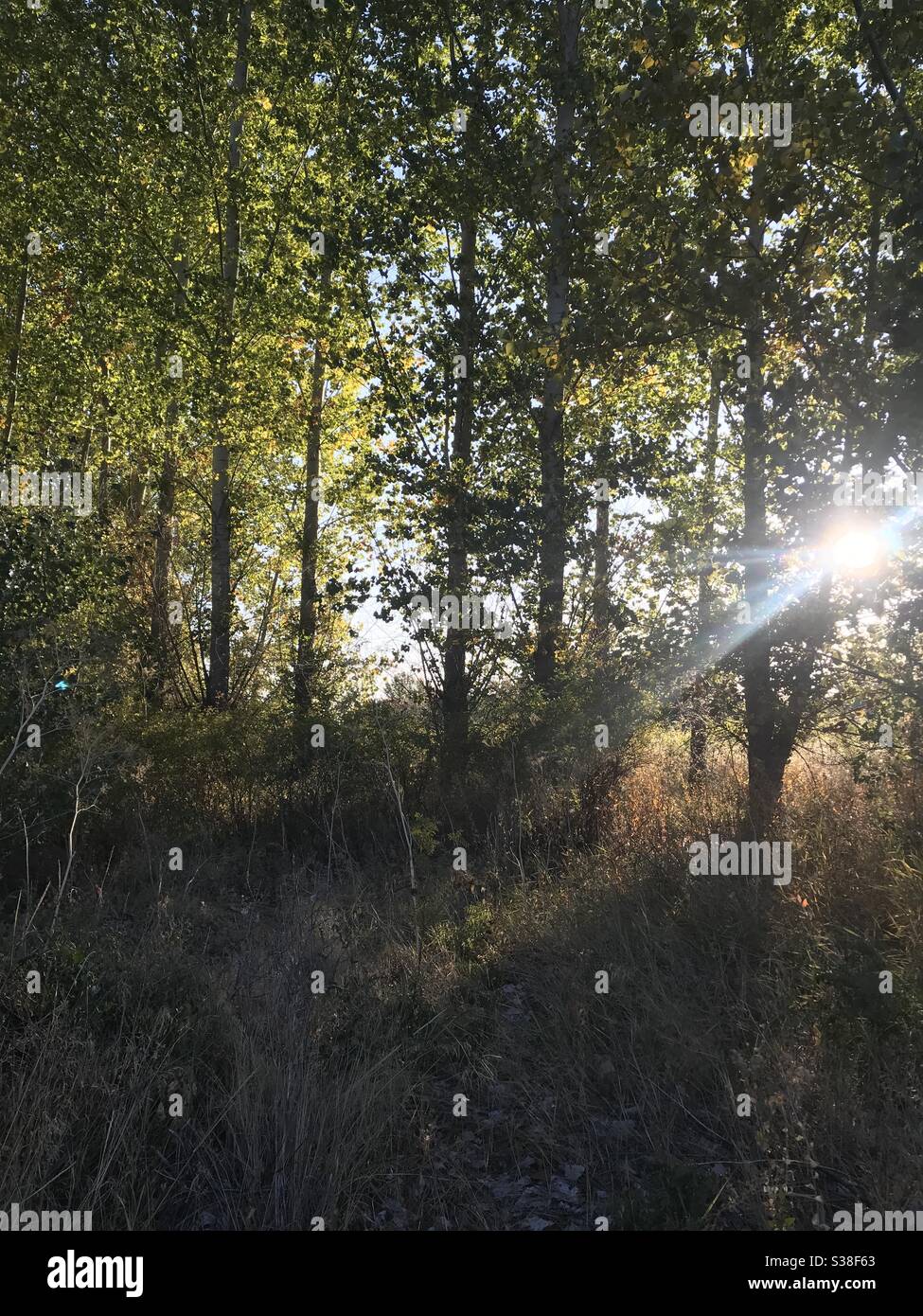 Sunrise rays hi-res stock photography and images - Alamy