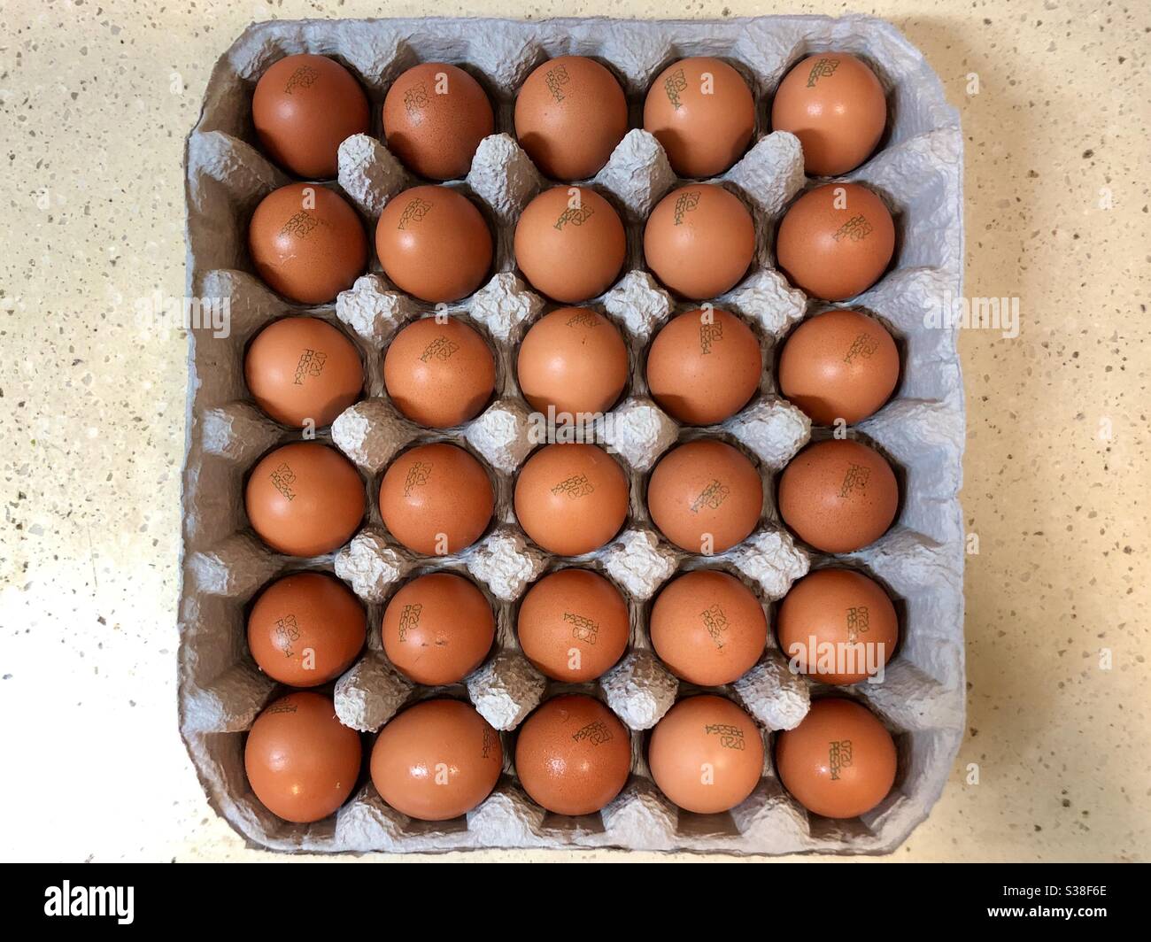 30 eggs hi-res stock photography and images - Alamy