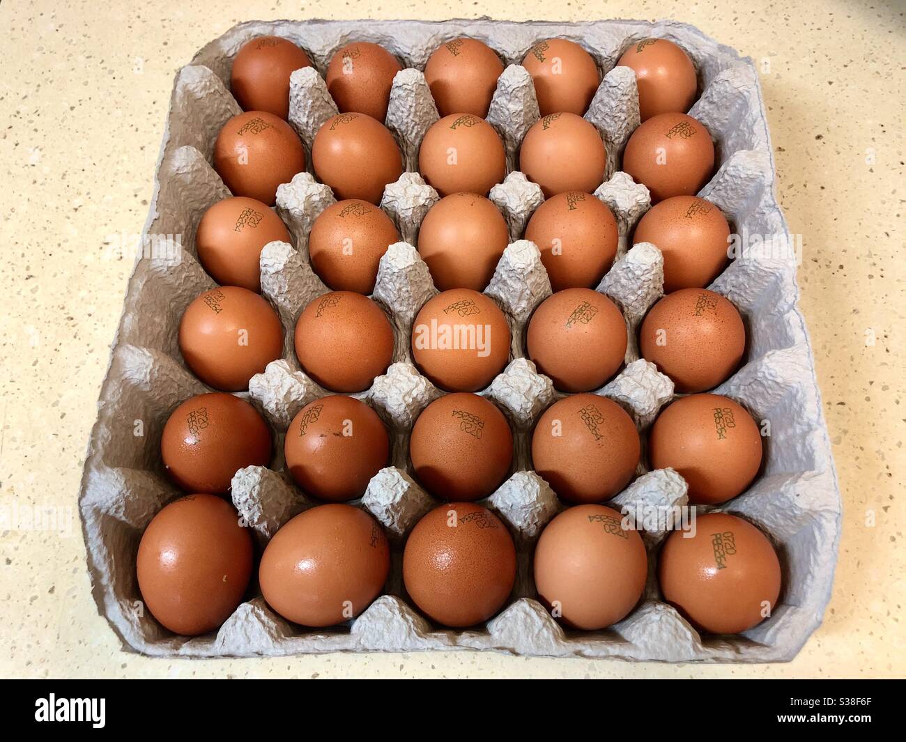 30 eggs hi-res stock photography and images - Alamy