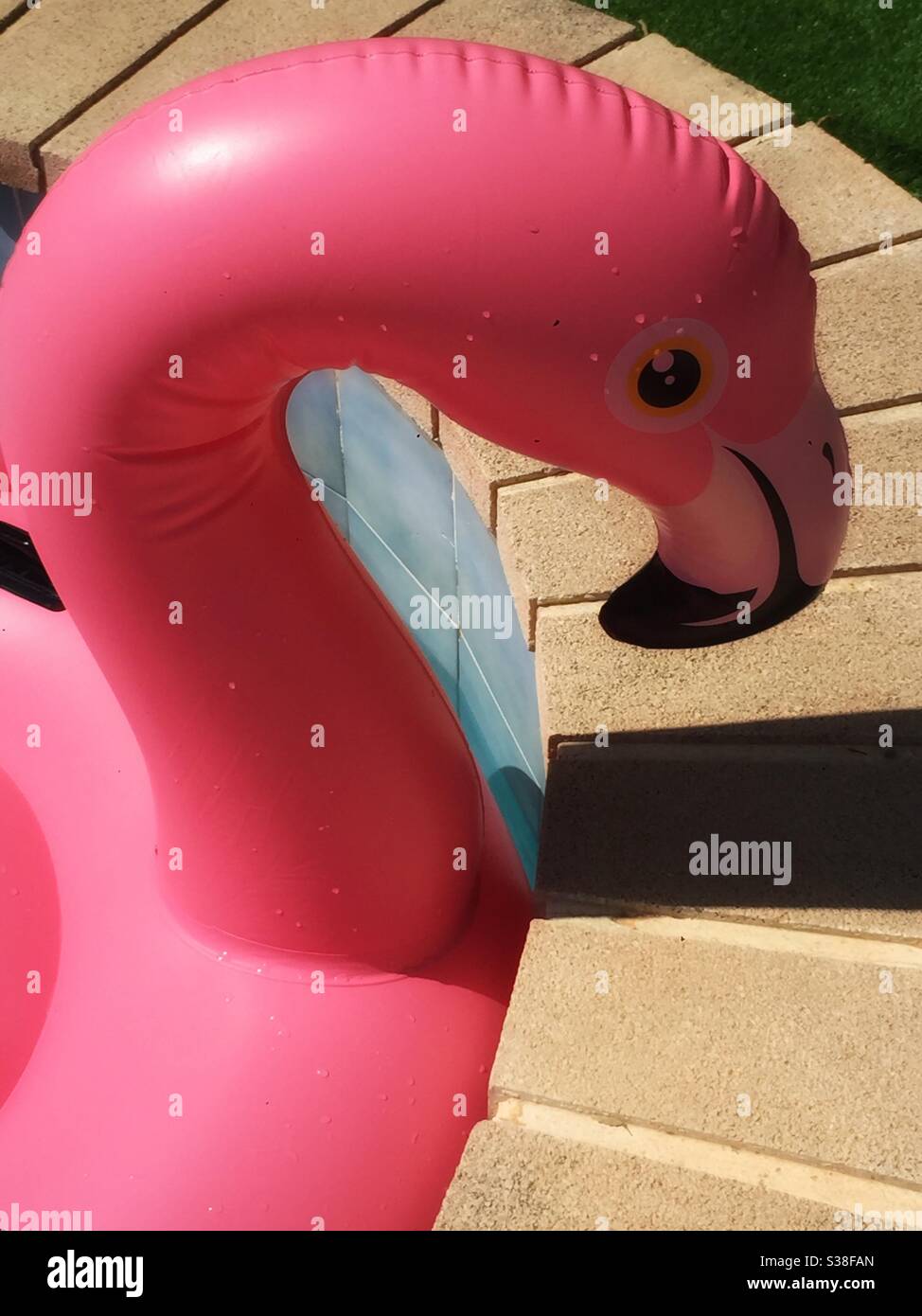 Swimming pool float swan pink inna pool Stock Photo - Alamy