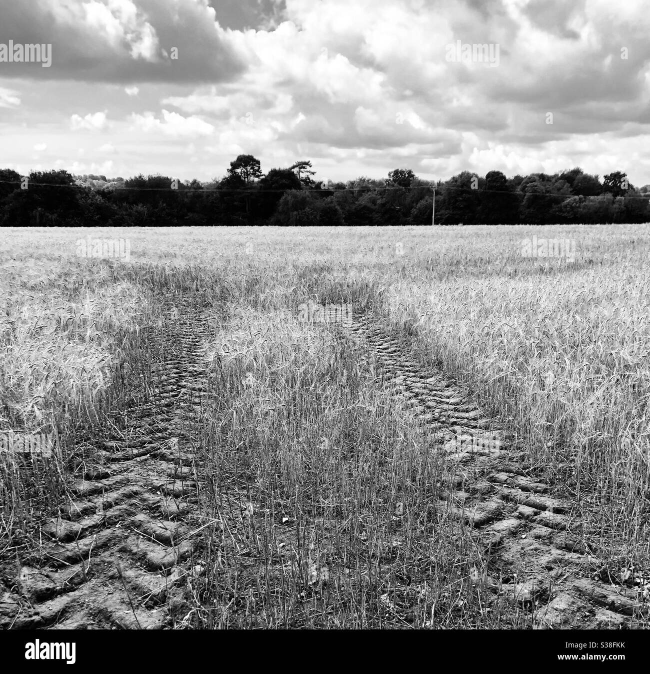 Vehicle tracks mud hi-res stock photography and images - Alamy