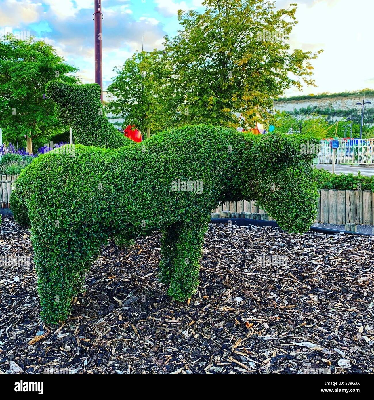 Dog topiary hi-res stock photography and images - Alamy