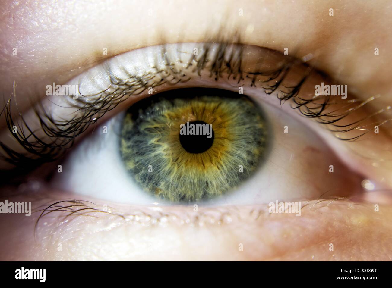 Beautiful Hazel Brown Eyes