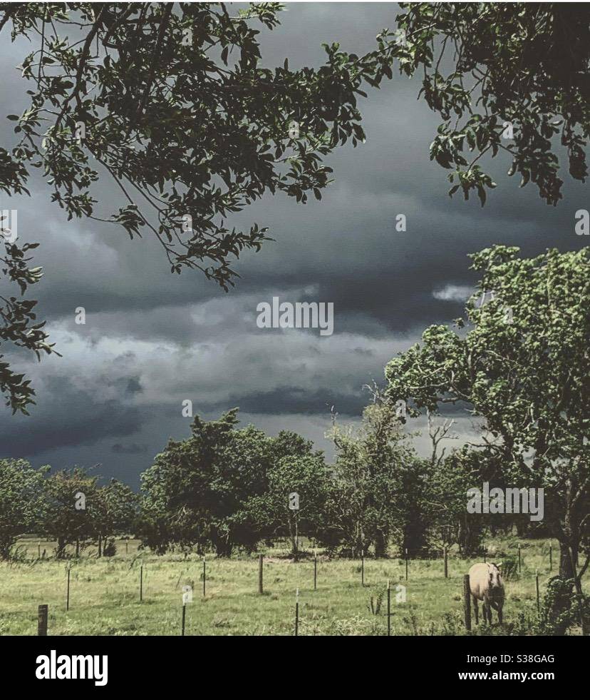 Texas storm clouds hi-res stock photography and images - Alamy
