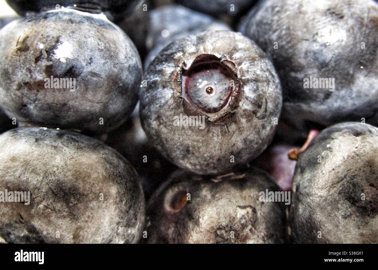 Macro Photography - Eye of a blueberry Stock Photo - Alamy