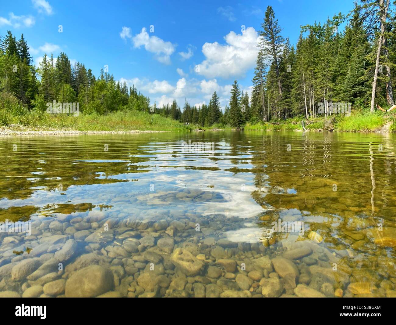 Surrounded by green trees hi-res stock photography and images - Alamy