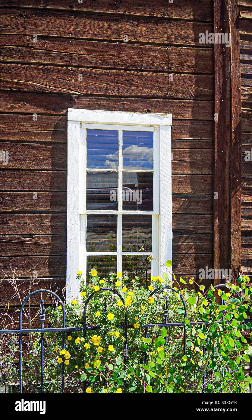 Flowers with wood fence hi-res stock photography and images - Alamy