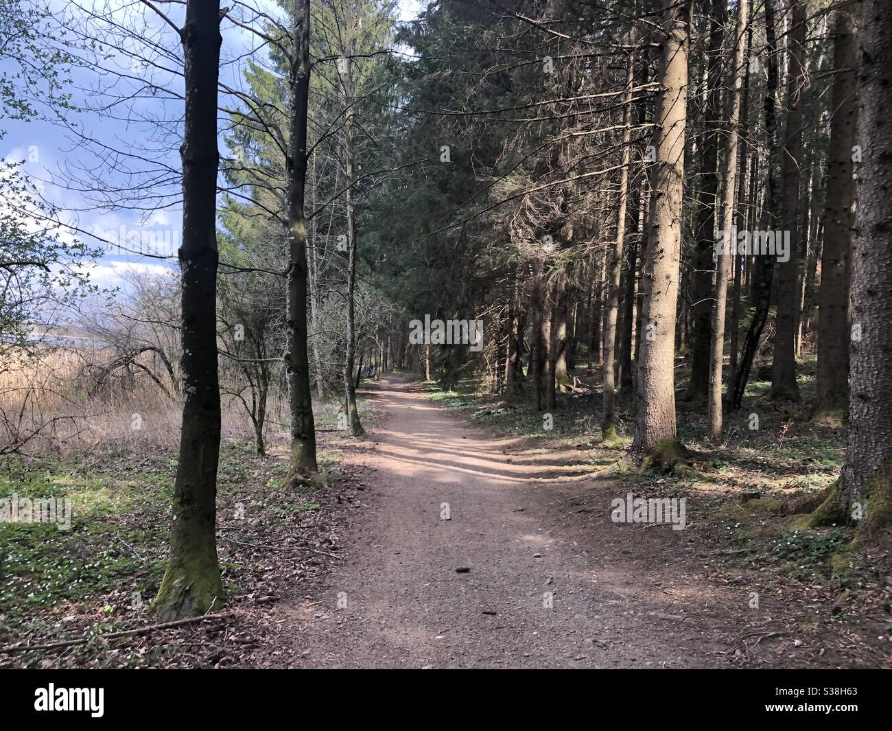 Baum baume hi-res stock photography and images - Alamy