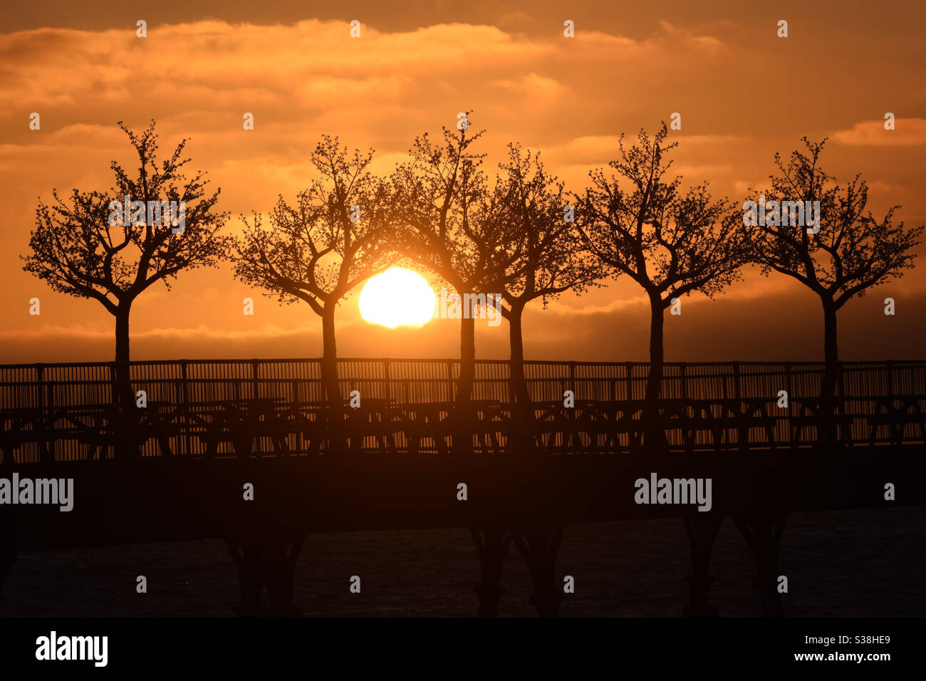 Goldenhour hi-res stock photography and images - Alamy