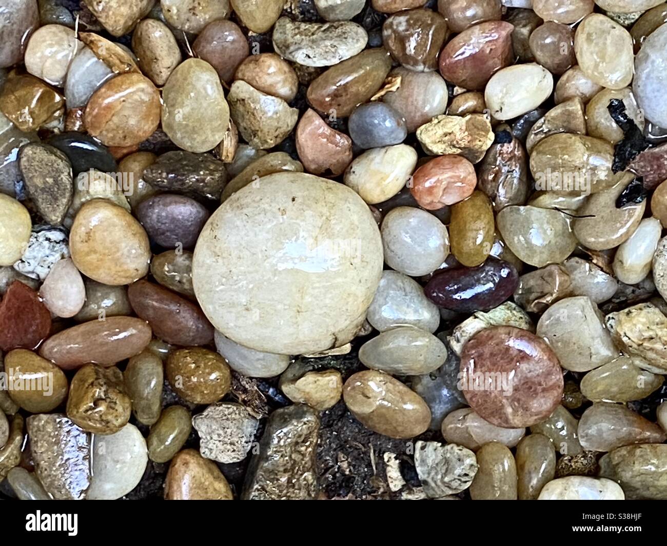 Smooth pebbles rocks hi-res stock photography and images - Alamy