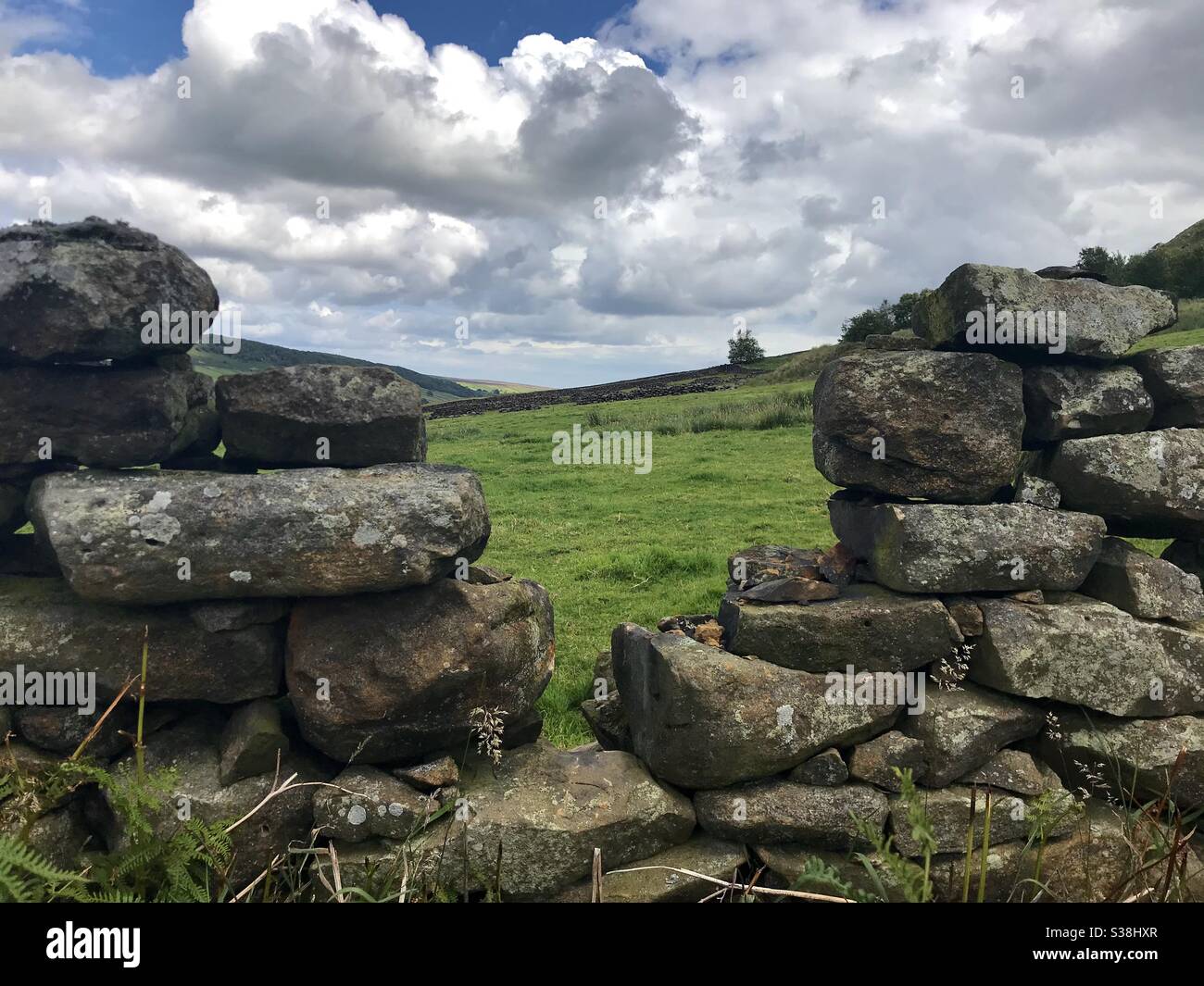 Field boundary wall hi-res stock photography and images - Alamy
