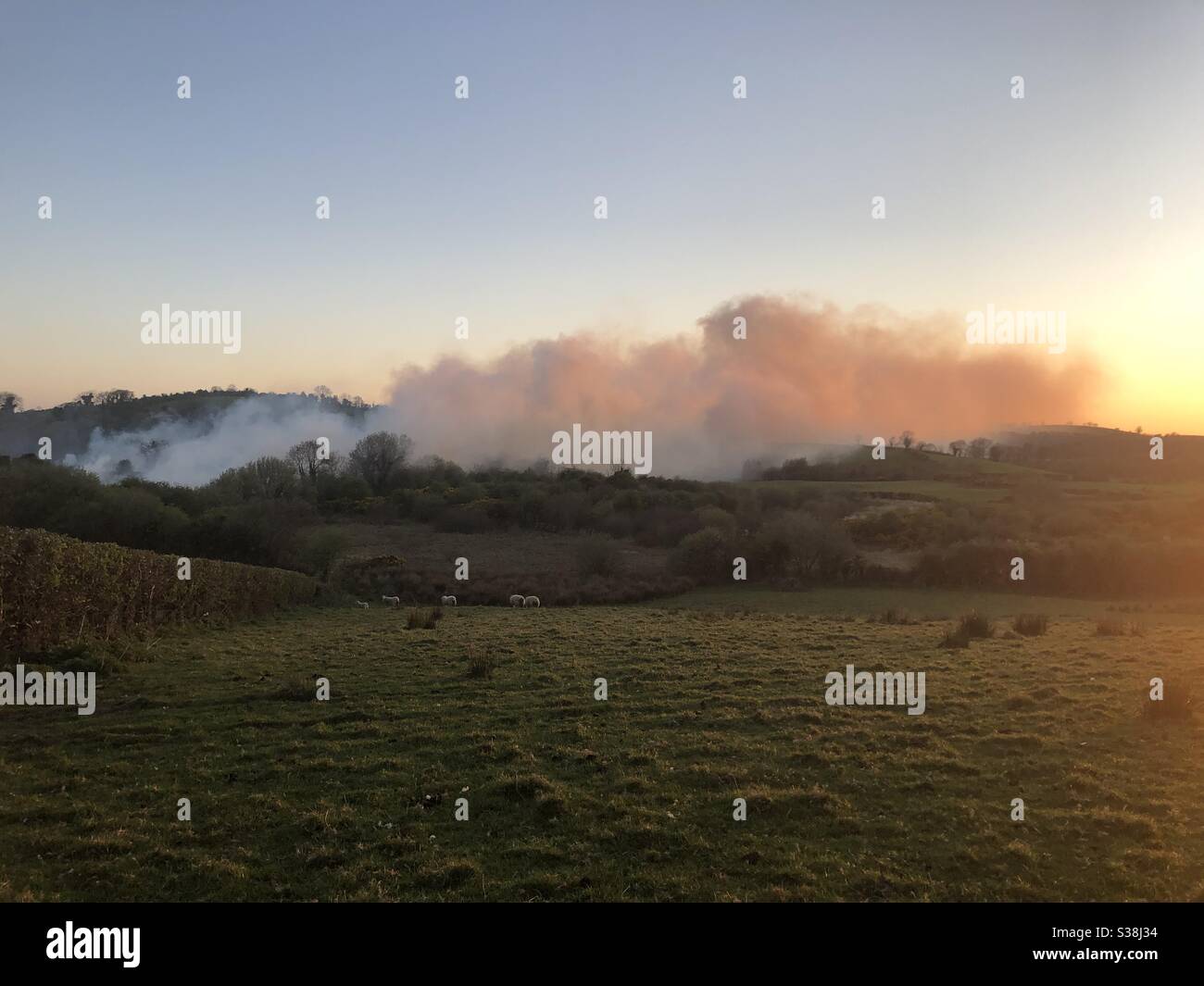 Gorse fire hi-res stock photography and images - Alamy