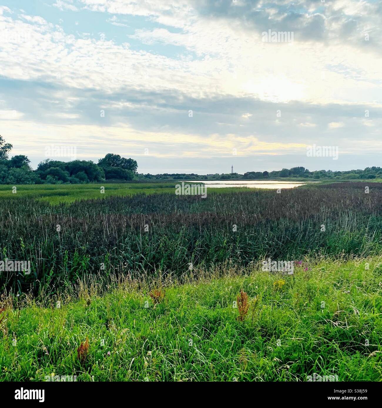 Marton mere nature reserve hi-res stock photography and images - Alamy