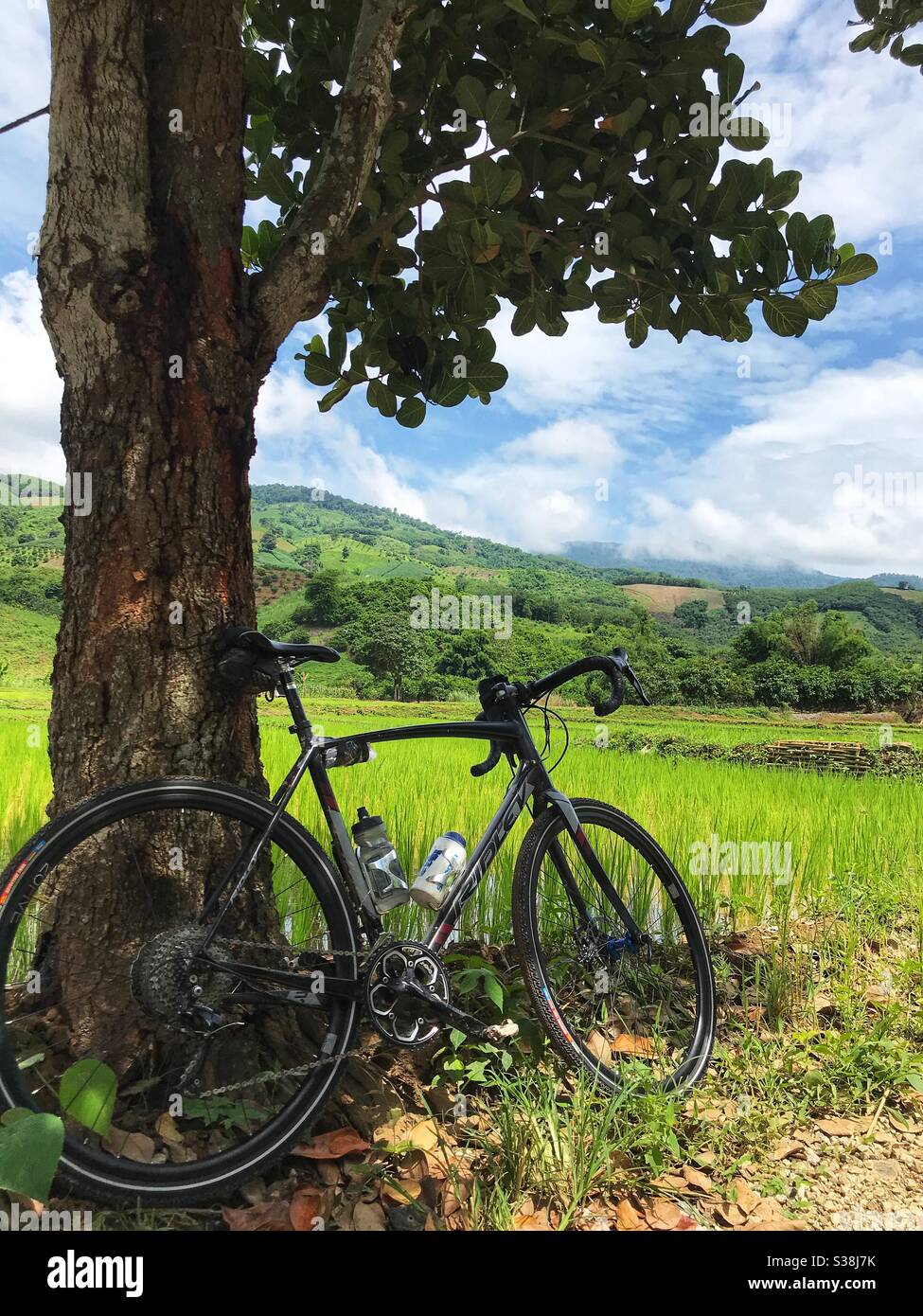 Thailand rice fields bicycle hi-res stock photography and images - Alamy
