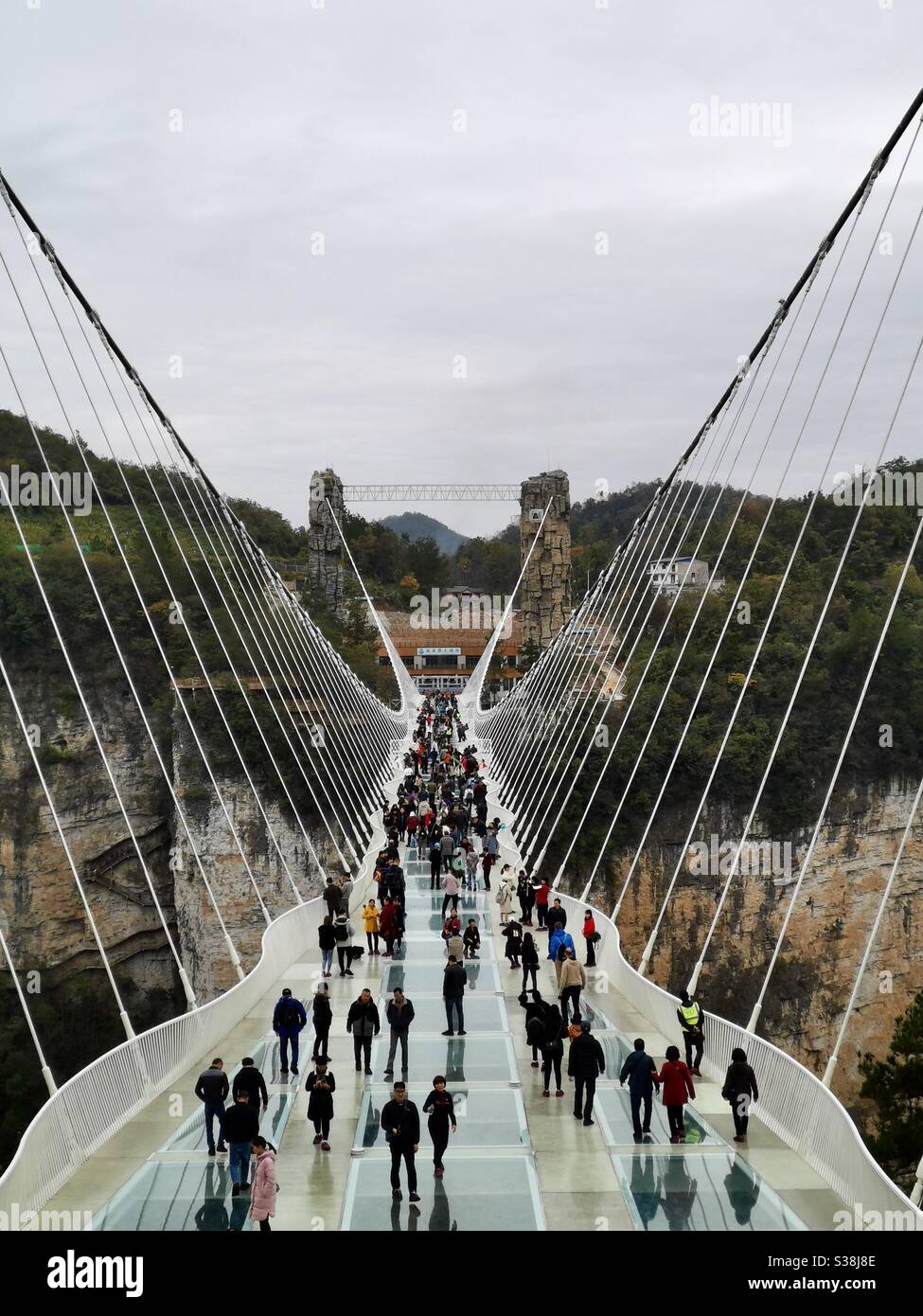 The Glass bridge over the Grand Canyon in Zhangjiajie, Hunan, China ...