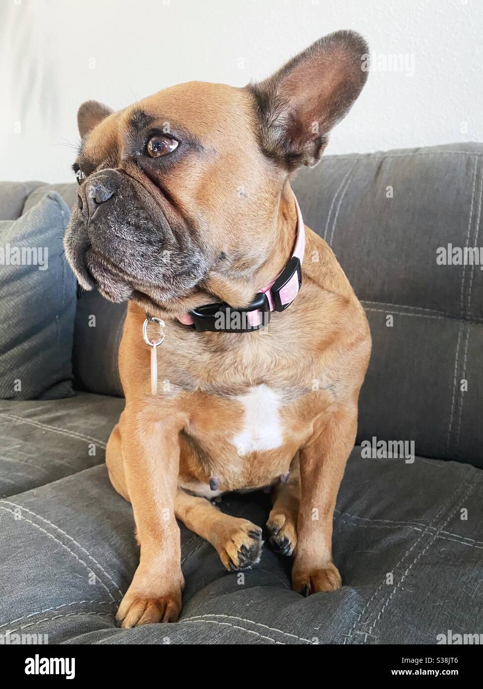 Sitting awkwardly hi-res stock photography and images - Alamy