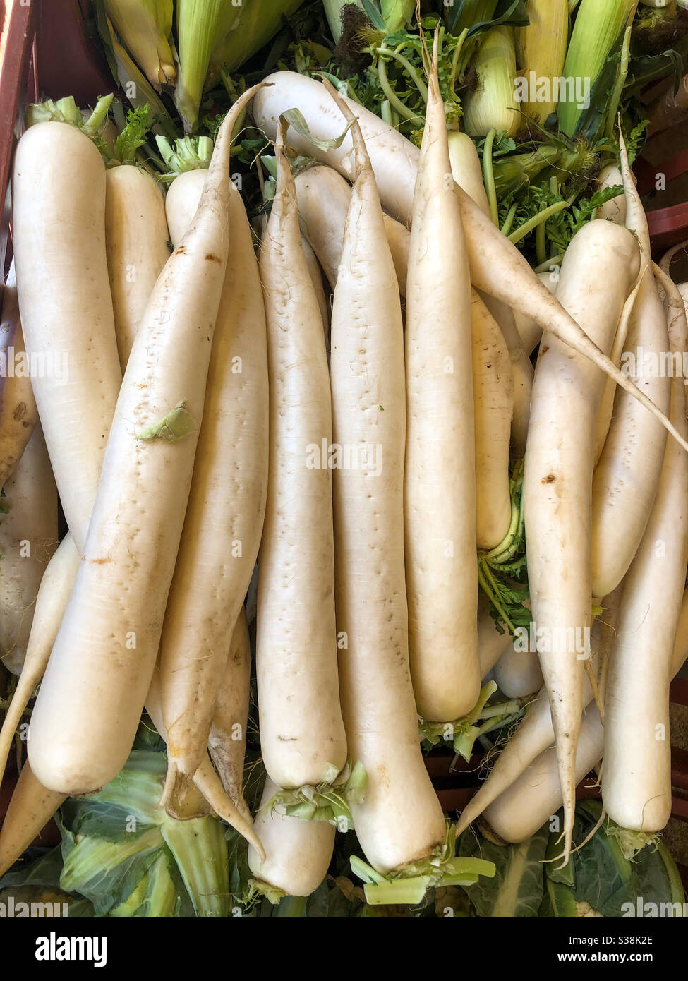 Raffish hi-res stock photography and images - Alamy